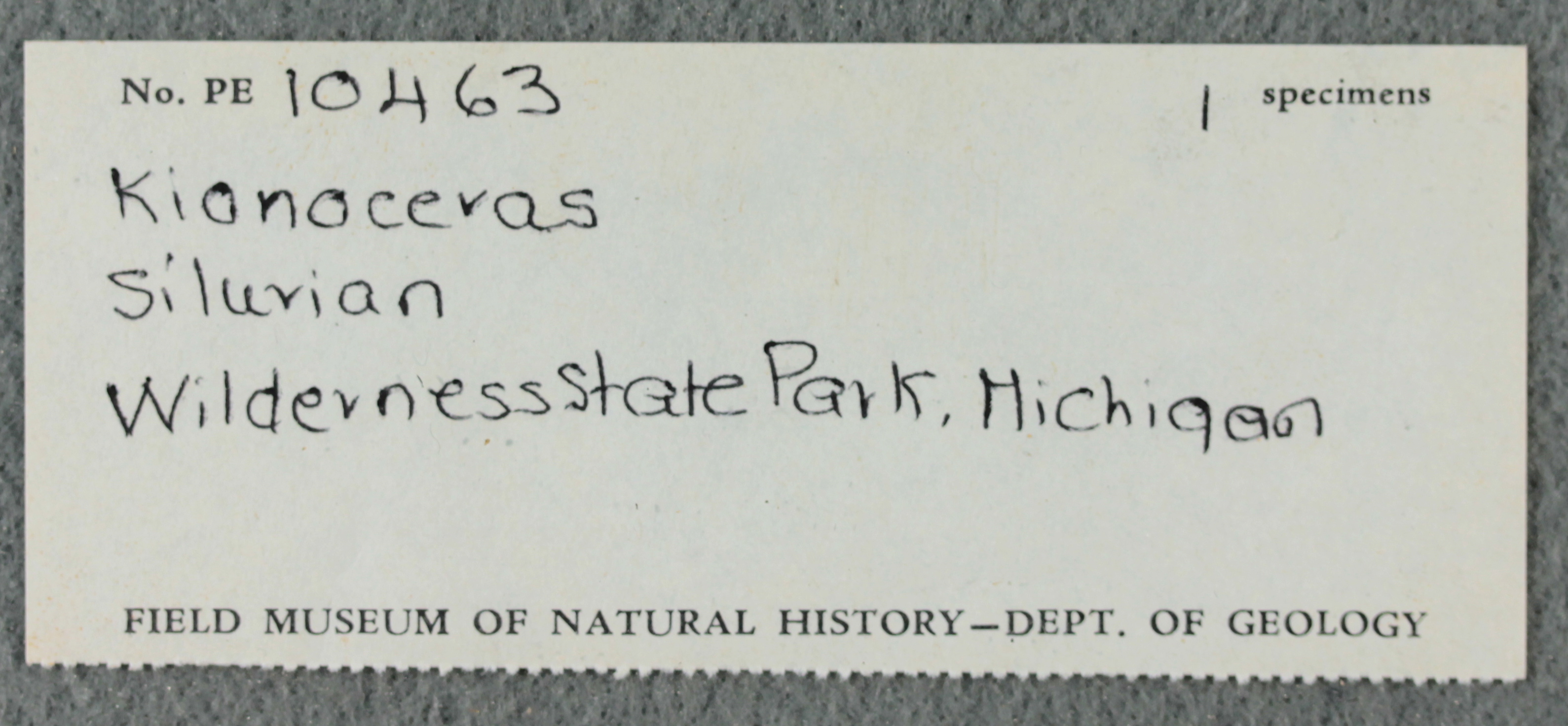 Kionoceras Hyatt, 1884