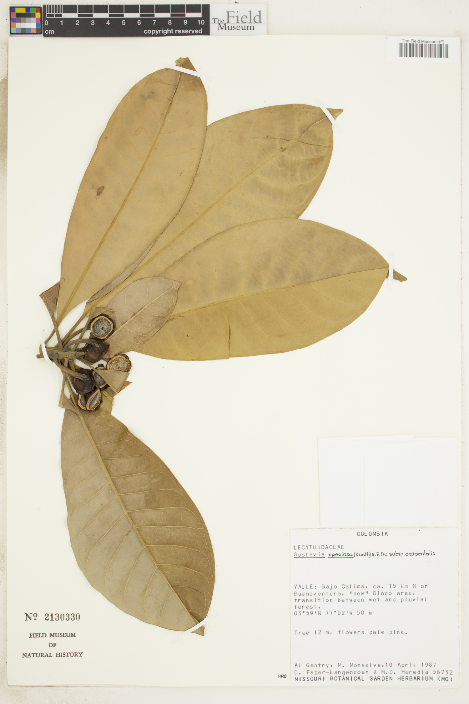 HVAA - Occurrence Profile