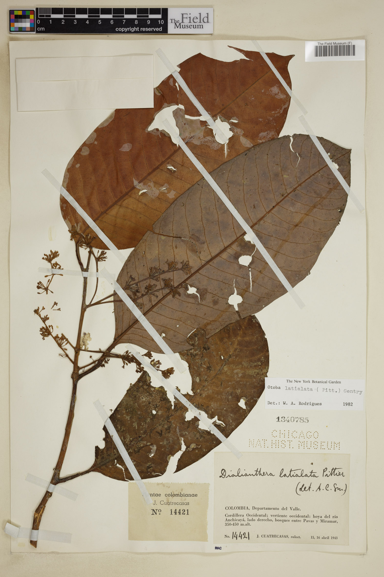 HVAA Detailed Collection Record Information