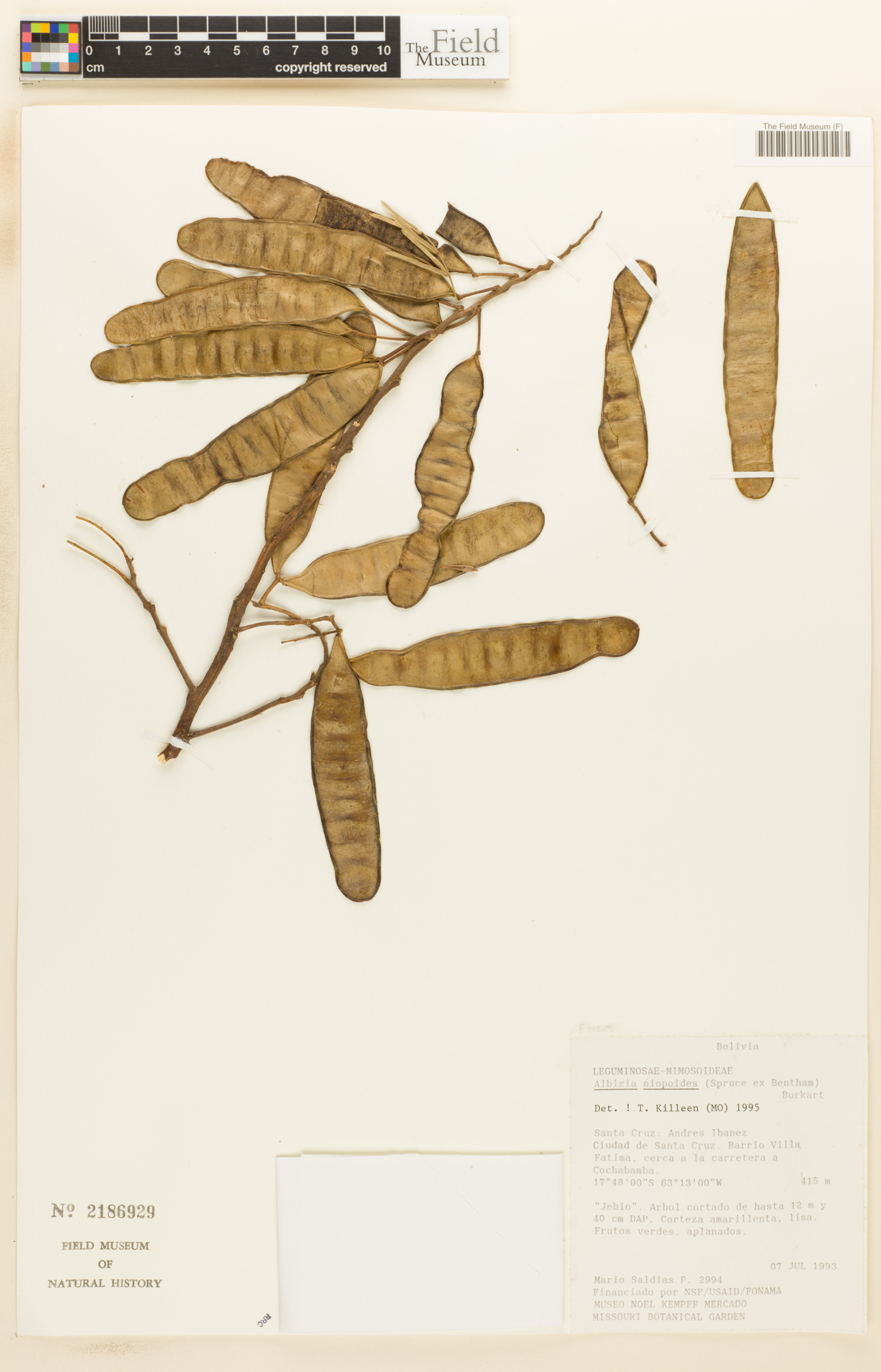 HVAA Detailed Collection Record Information