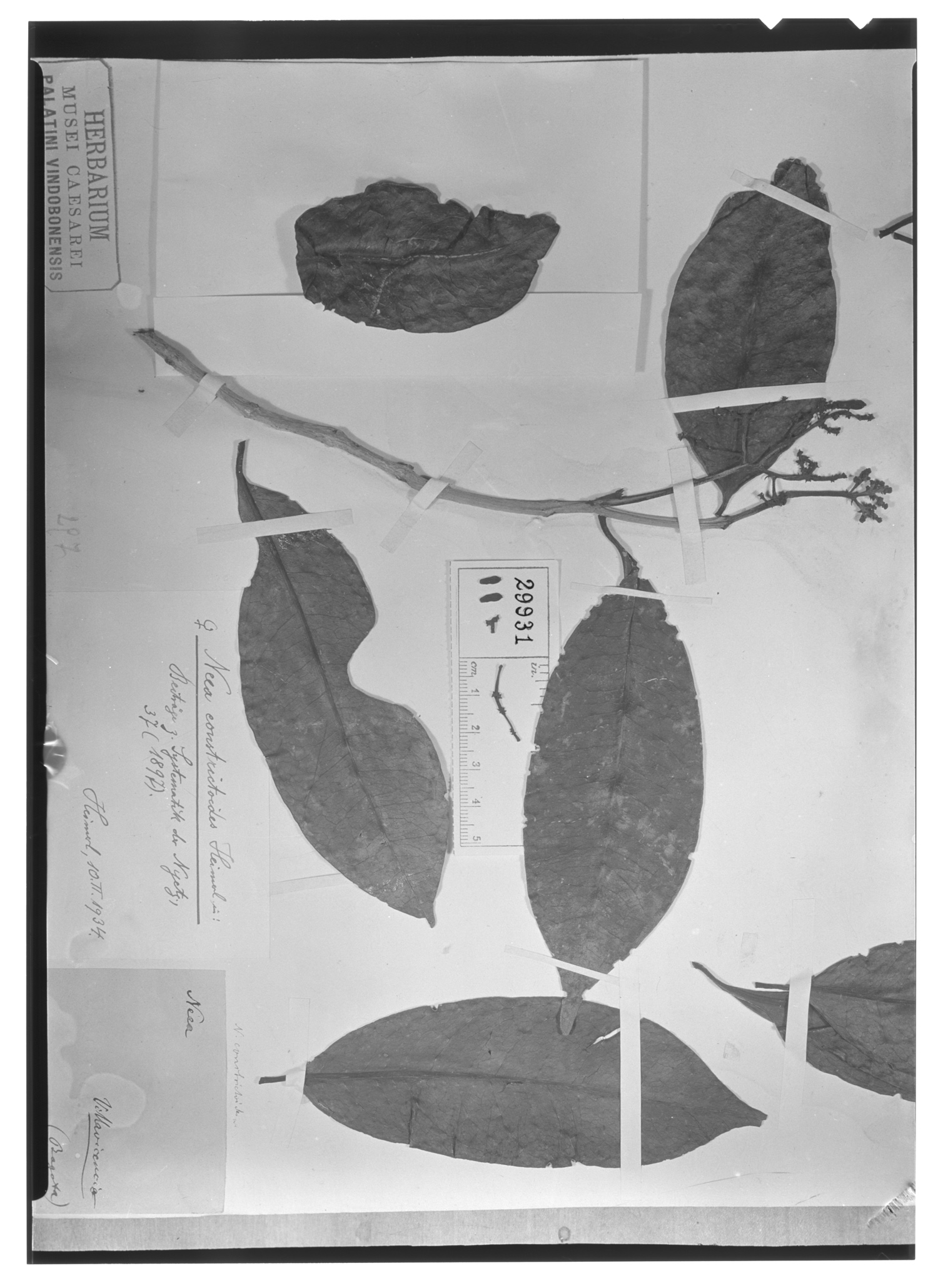 HVAA Detailed Collection Record Information