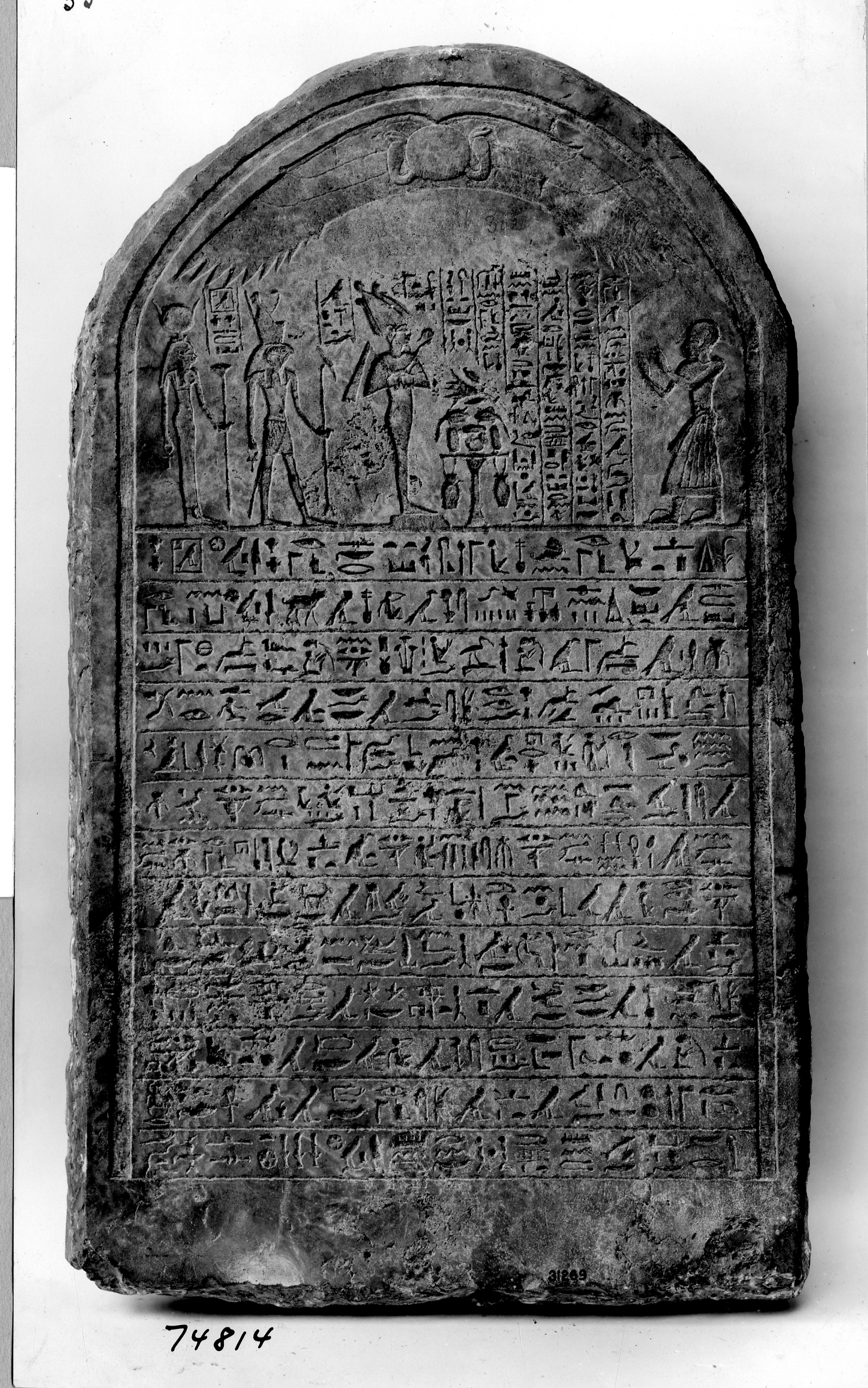 FMNH 31269.nosub[1] | Anthropological Collections