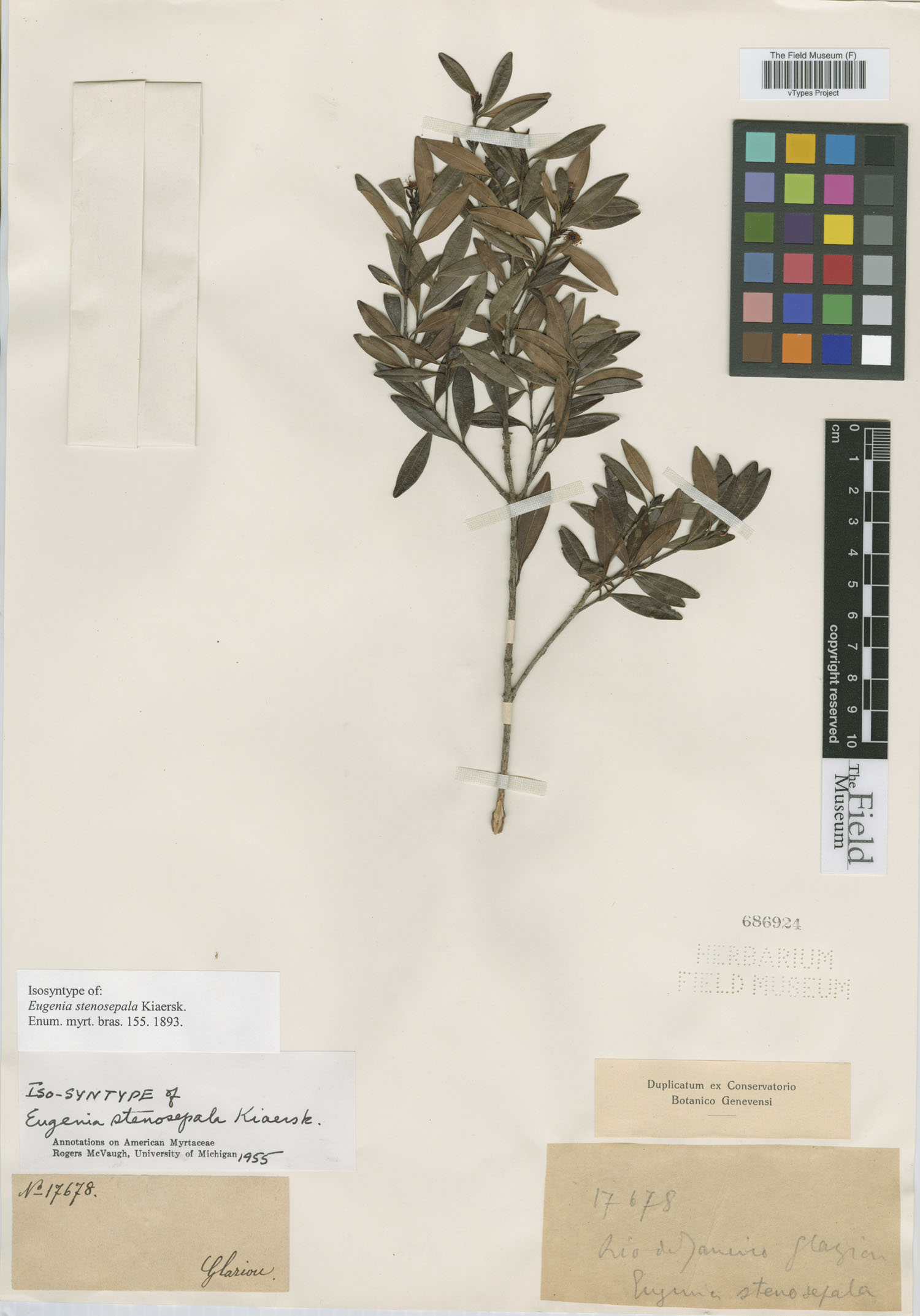 HVAA - Occurrence Profile