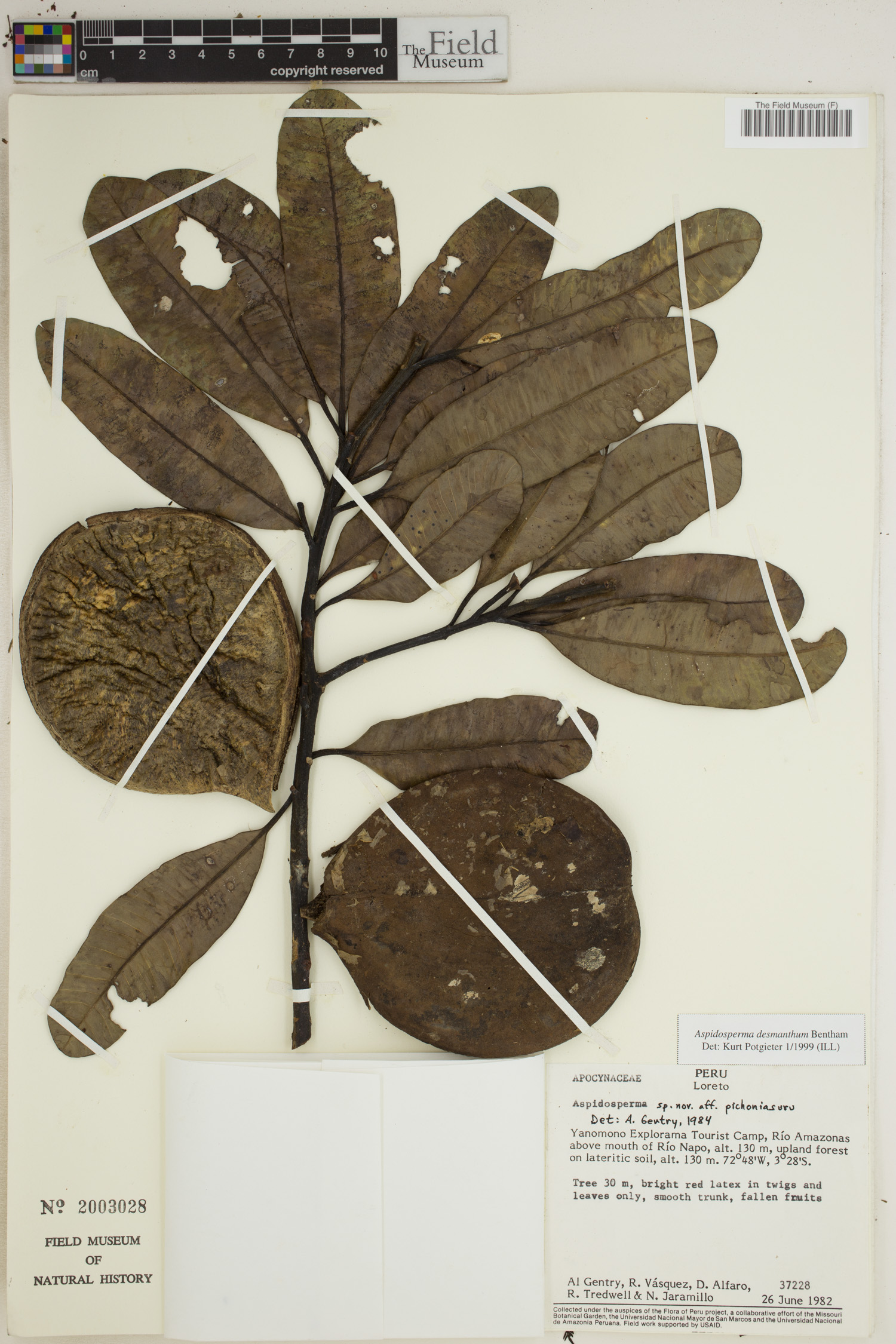 HVAA Detailed Collection Record Information