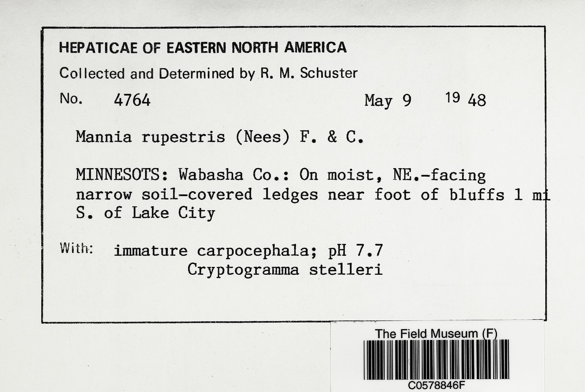 Mannia rupestris (Nees) Frye & L.Clark