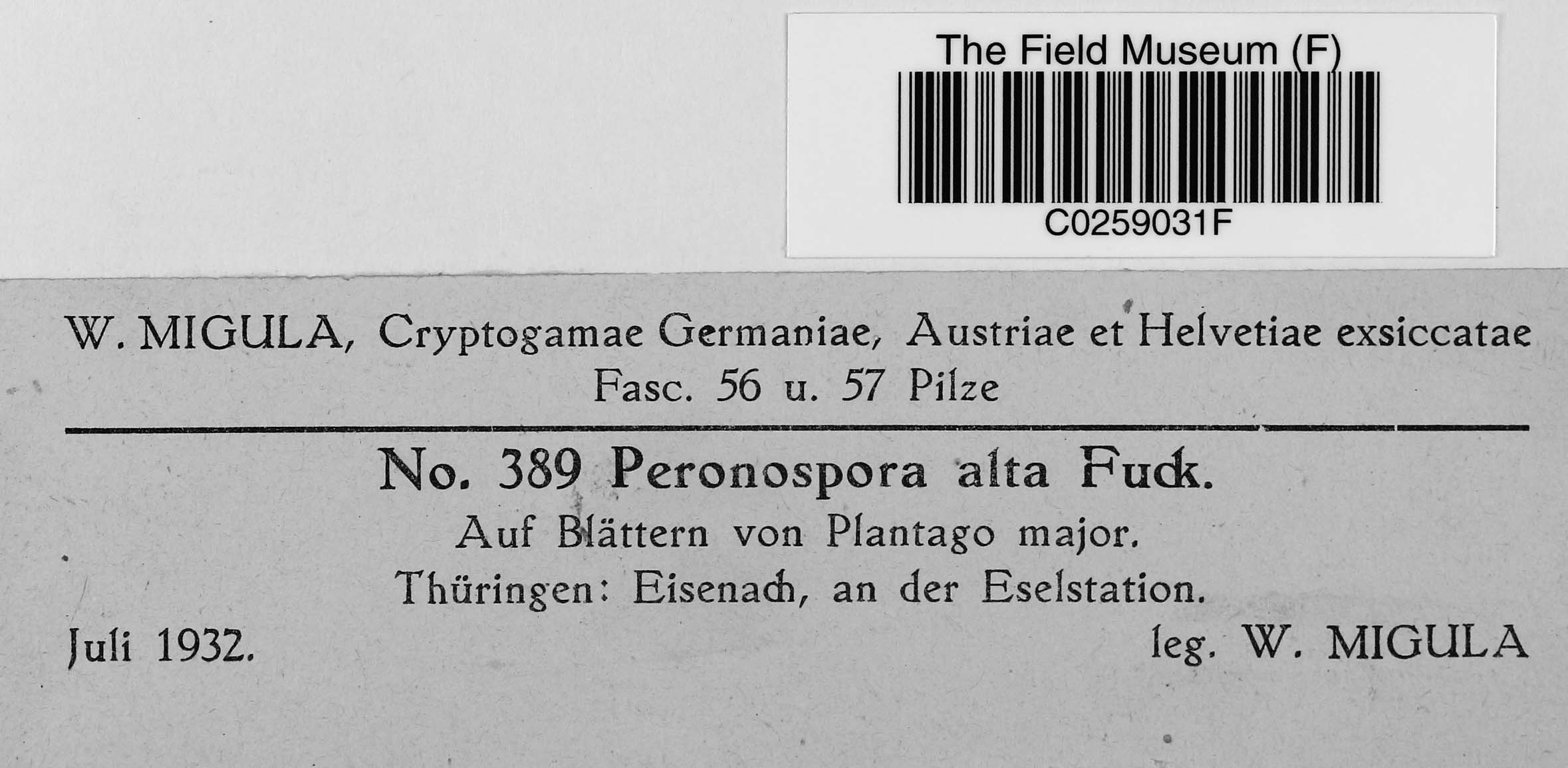 MyCoPortal Detailed Collection Record Information