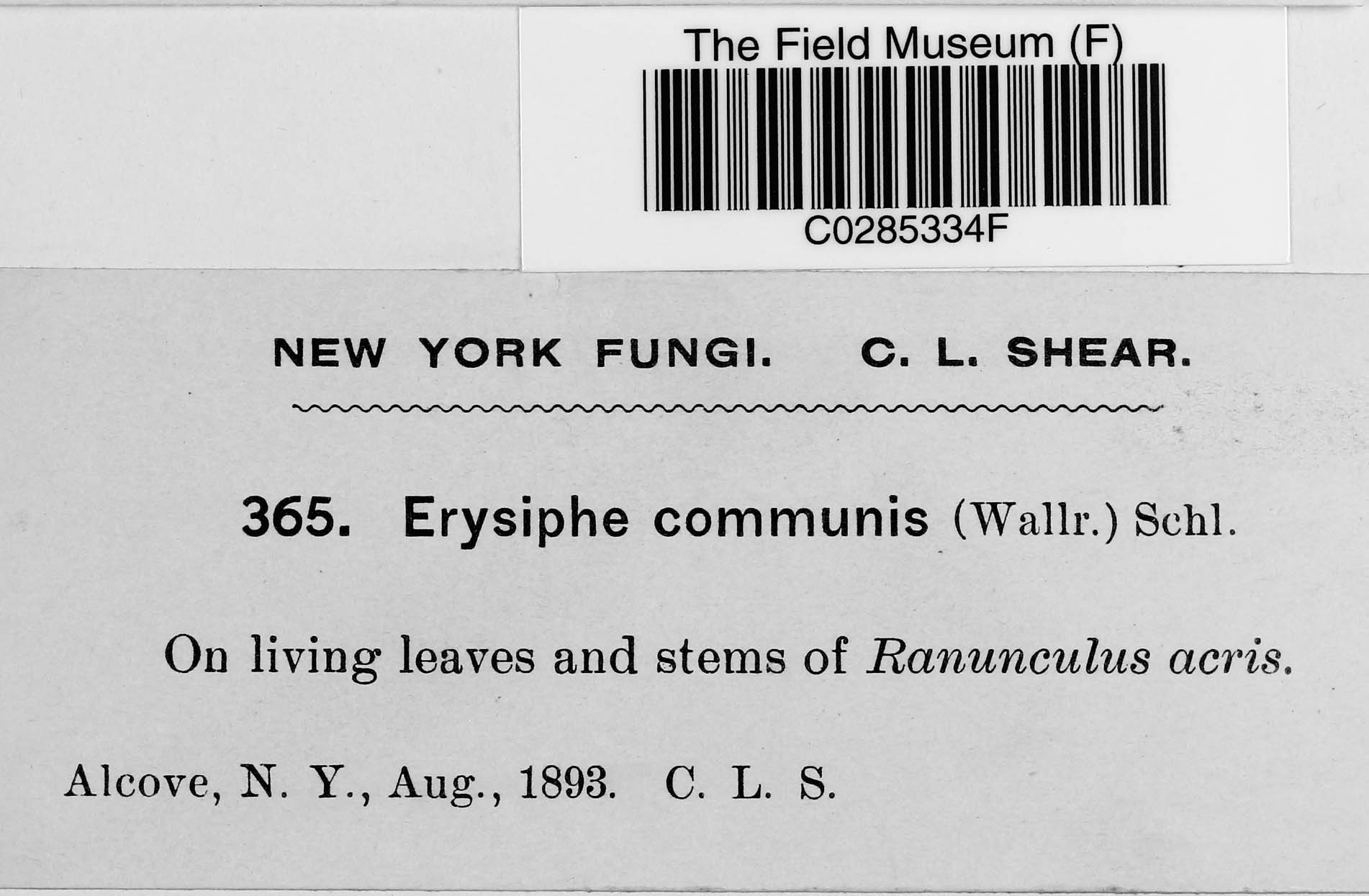 MyCoPortal Detailed Collection Record Information