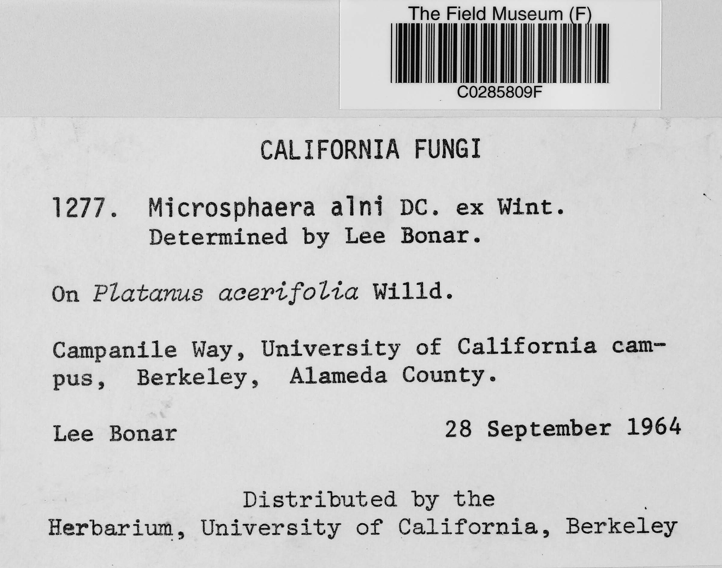 MyCoPortal Detailed Collection Record Information