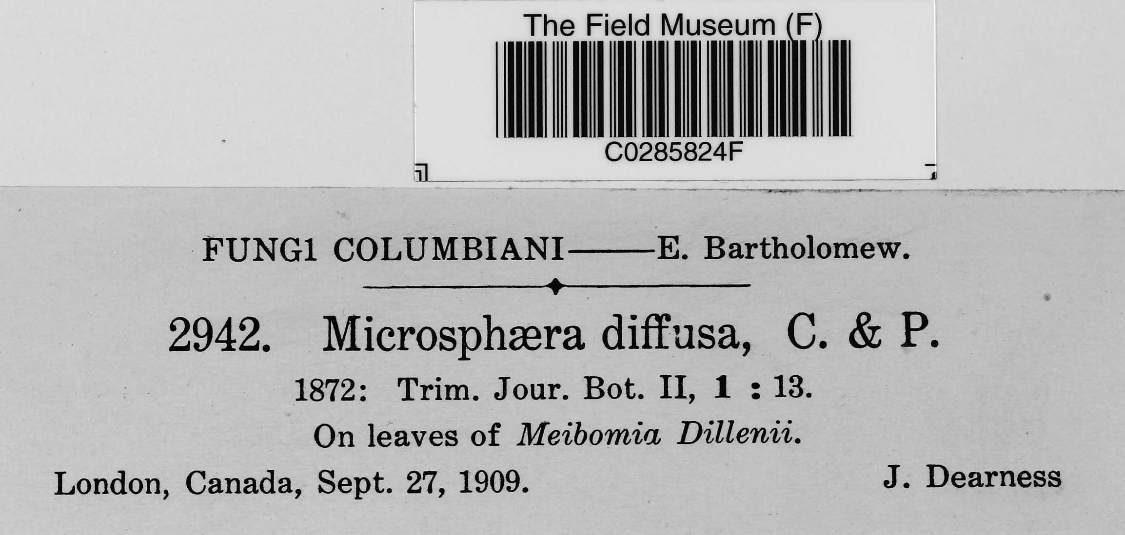 MyCoPortal Detailed Collection Record Information