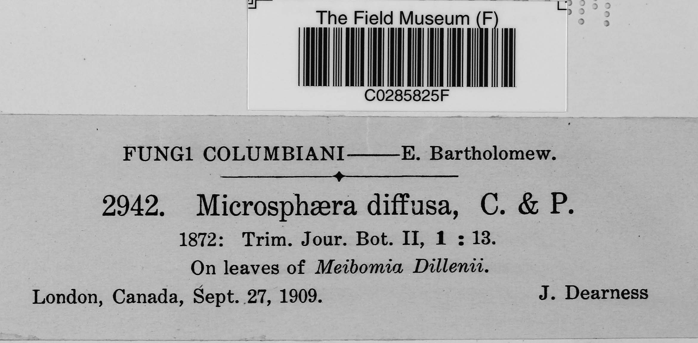 MyCoPortal Detailed Collection Record Information