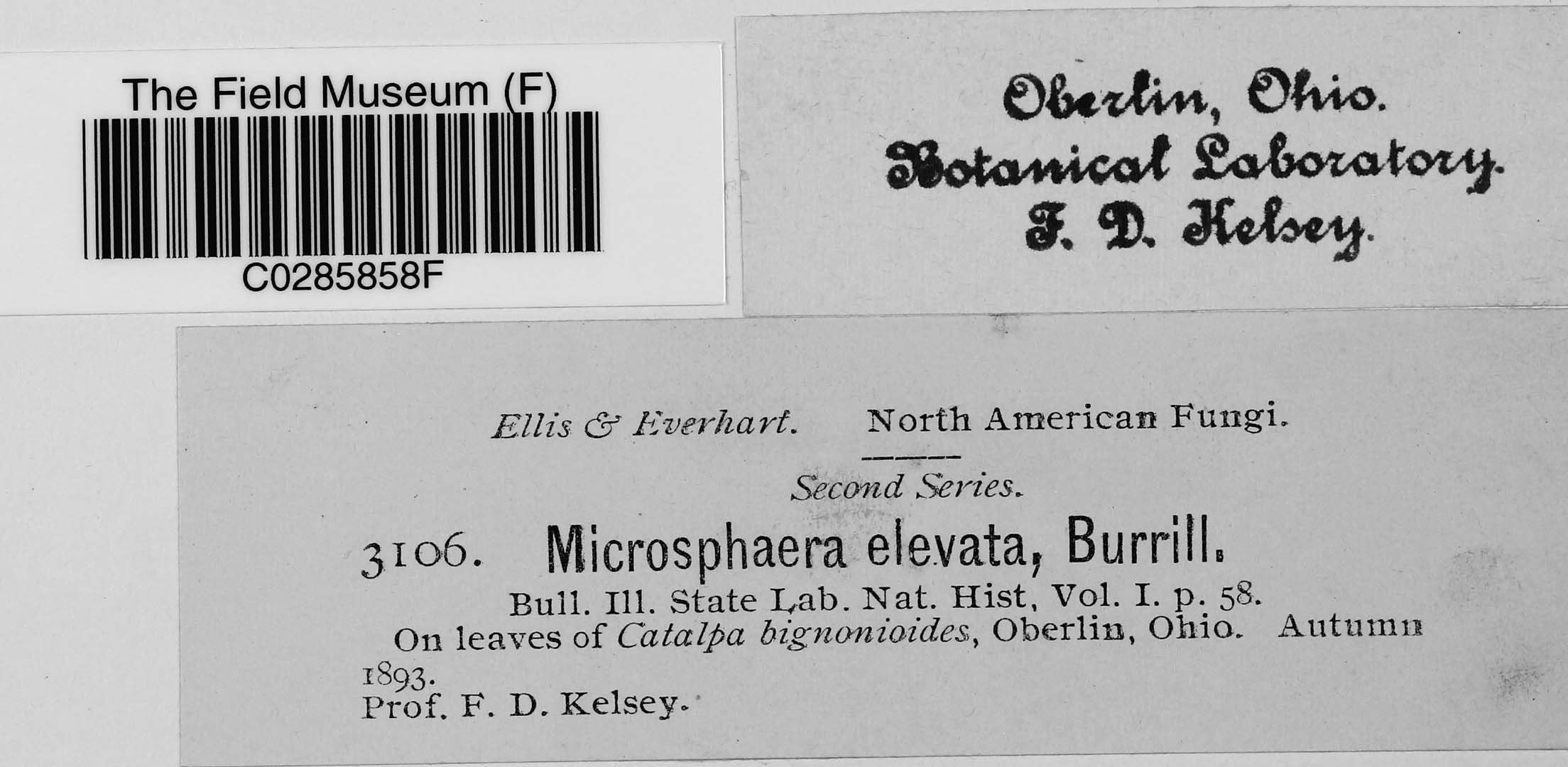 MyCoPortal Detailed Collection Record Information