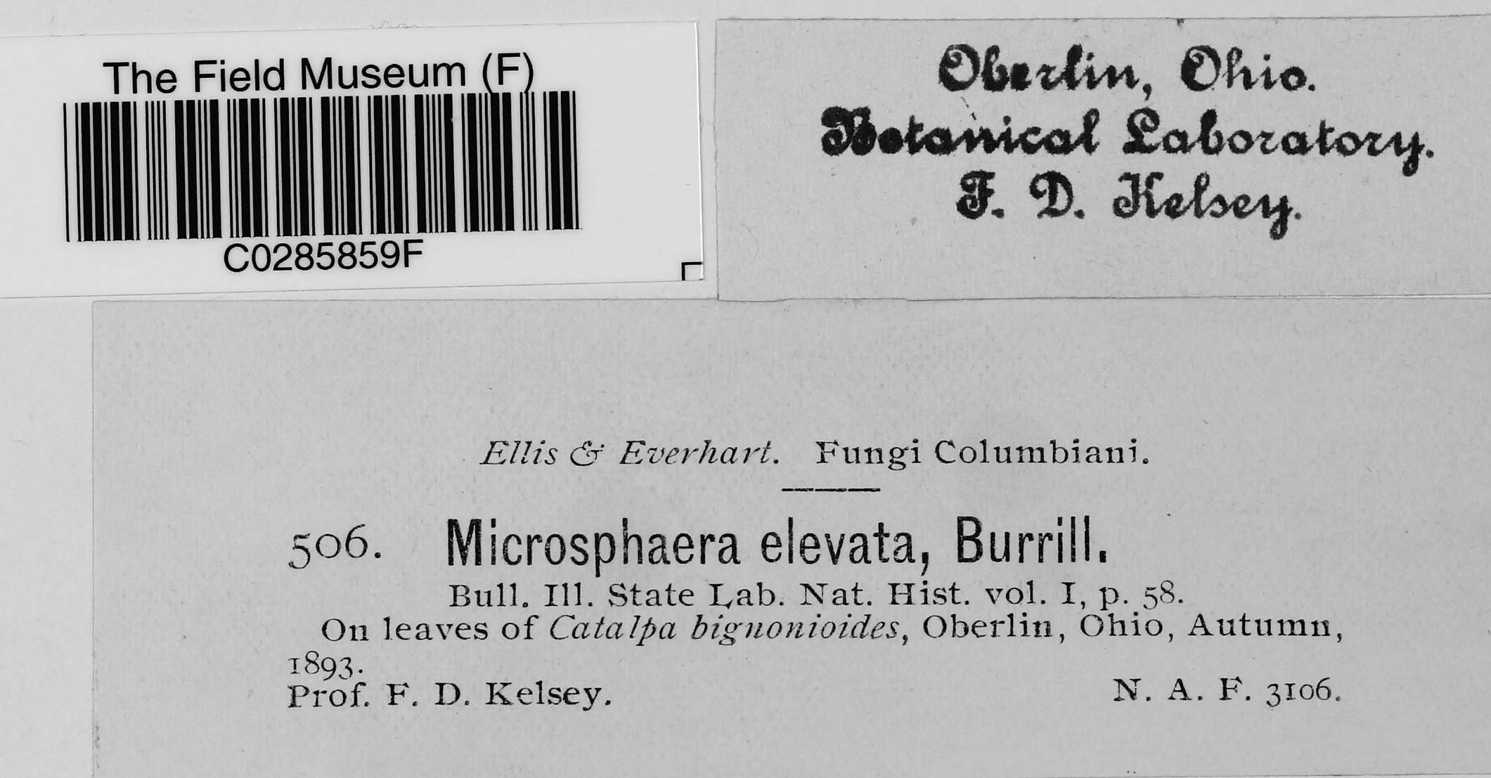 MyCoPortal Detailed Collection Record Information