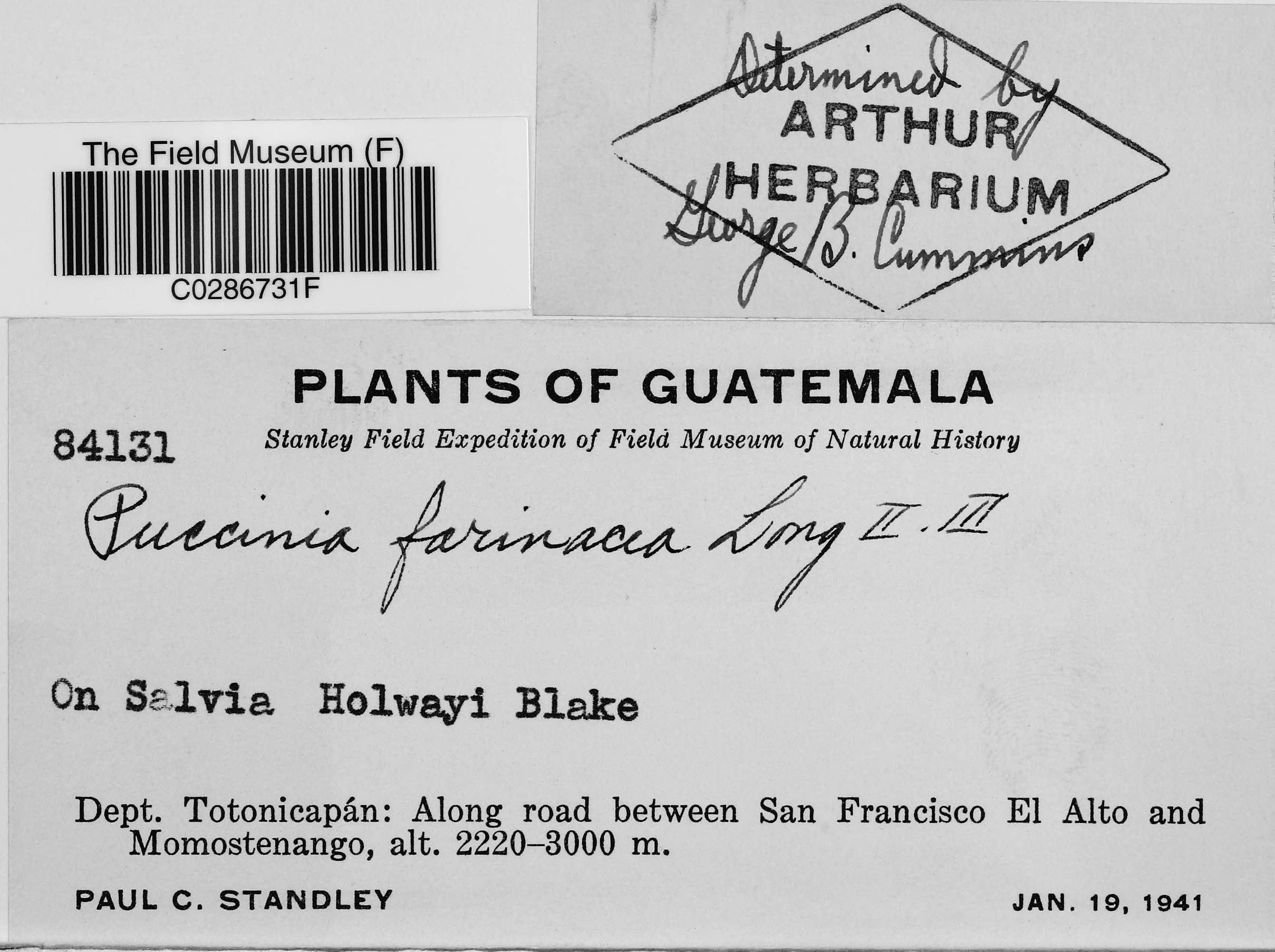 MyCoPortal Detailed Collection Record Information