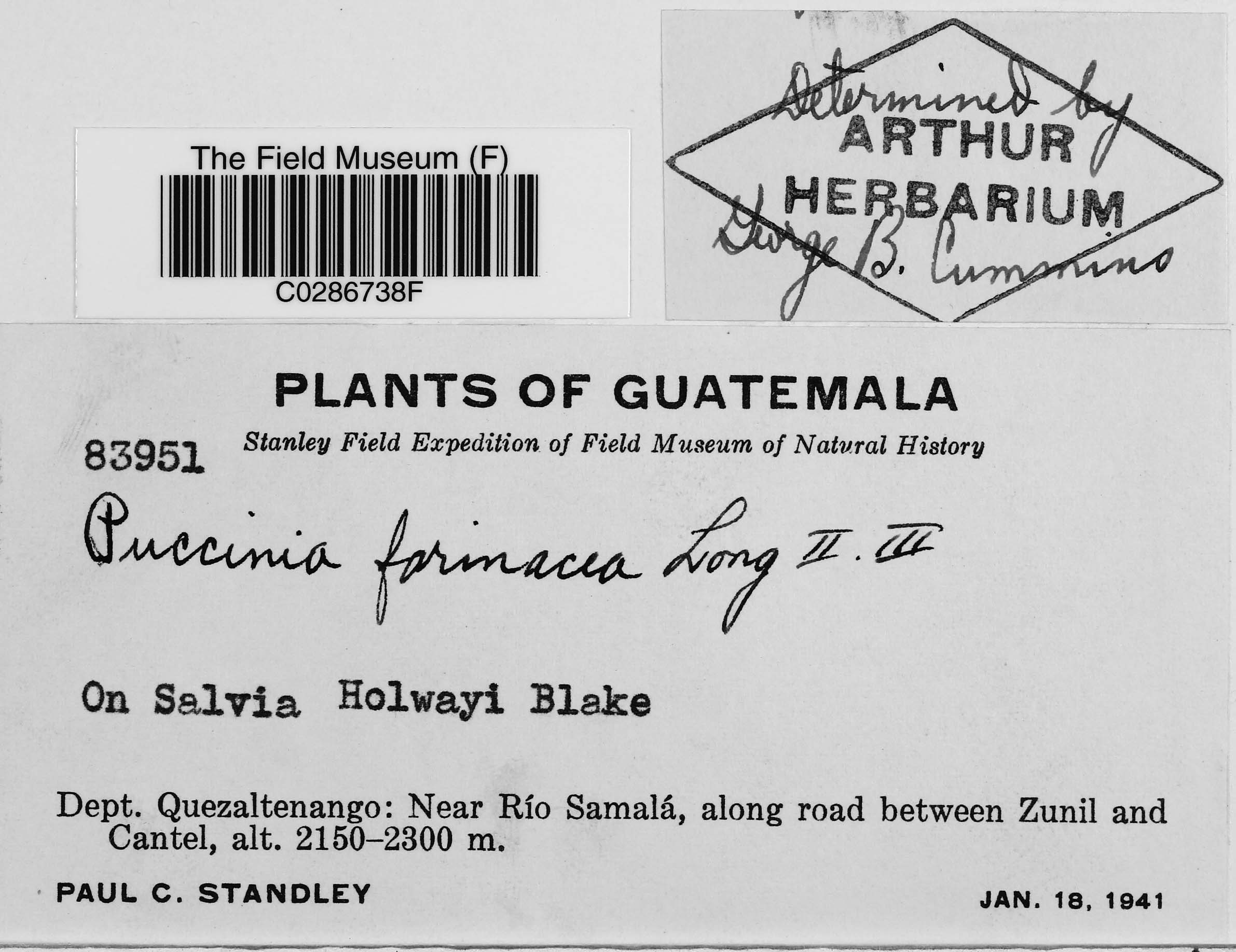 MyCoPortal Detailed Collection Record Information