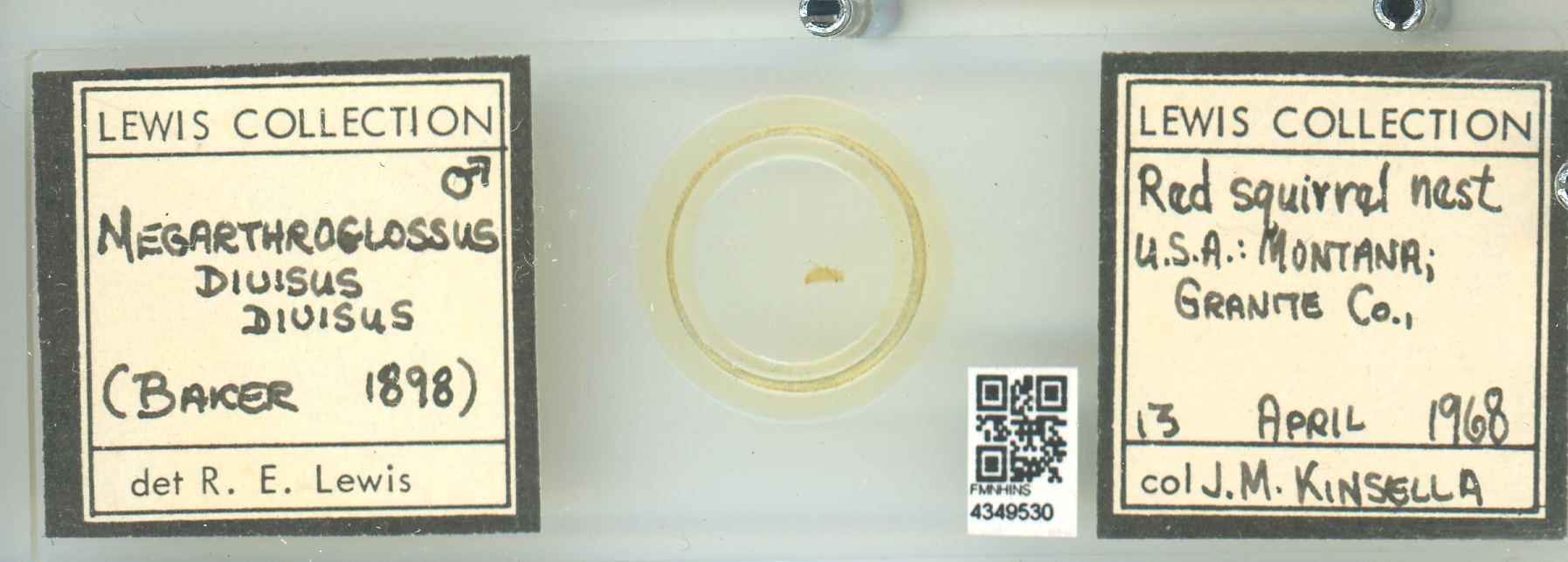 Media | Zoological Collections