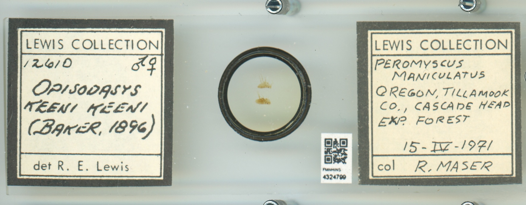 FMNH FMNHINS 0004 324 799 | Zoological Collections