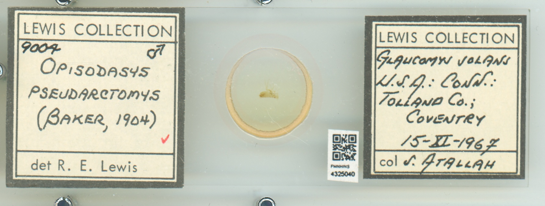 FMNH FMNHINS 0004 325 040 | Zoological Collections