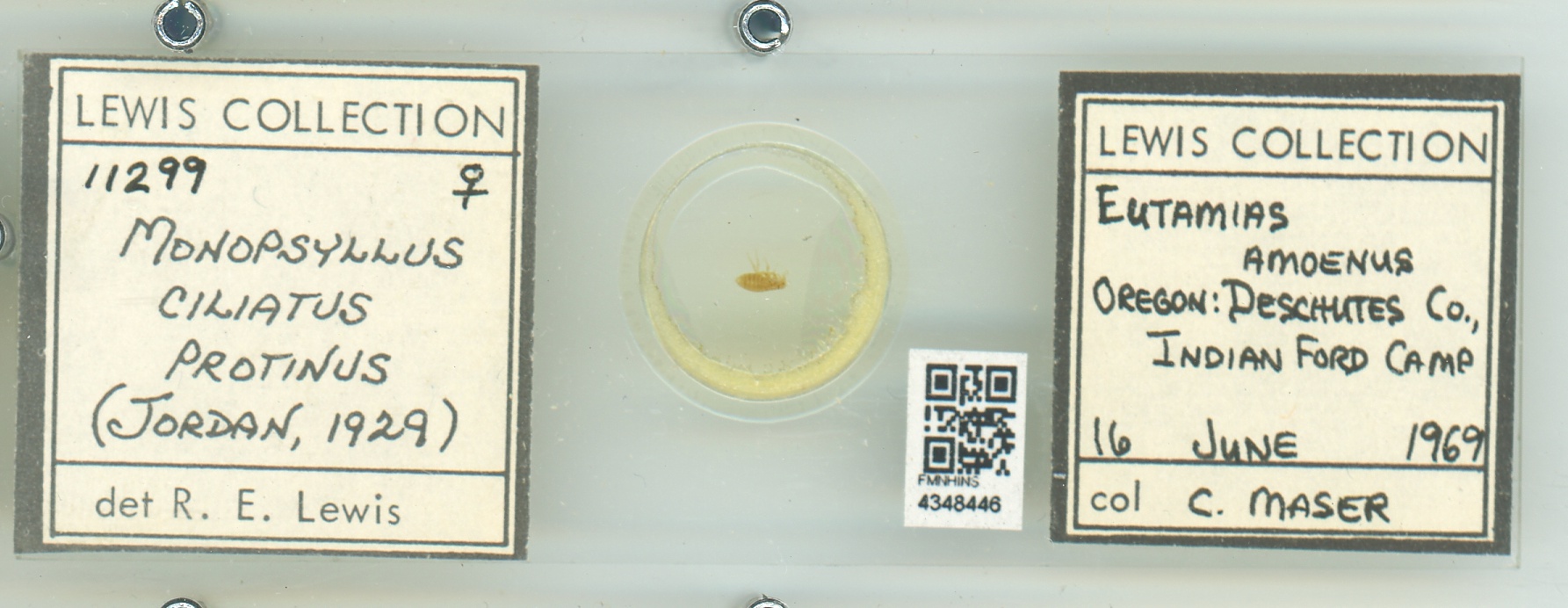 Media | Zoological Collections