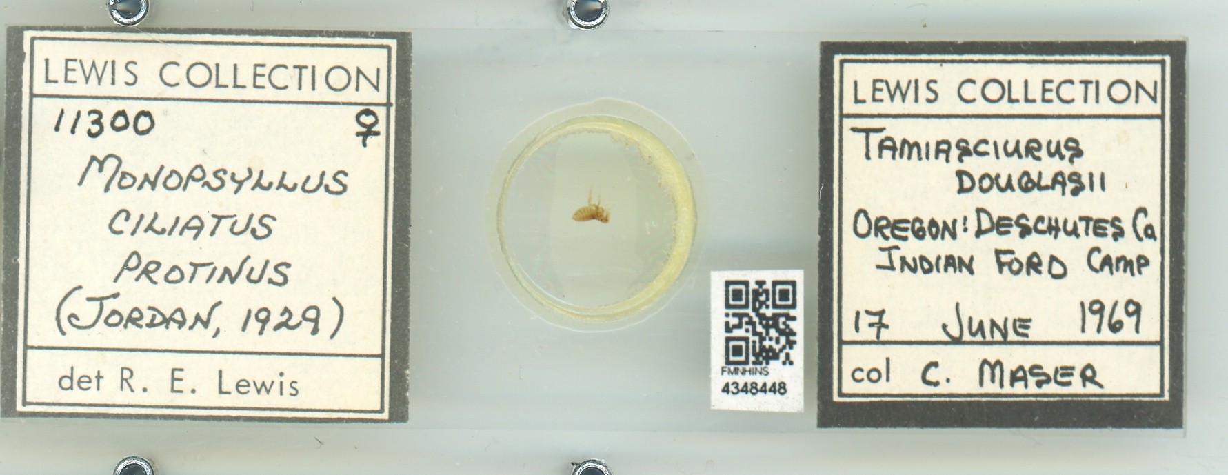 Media | Zoological Collections