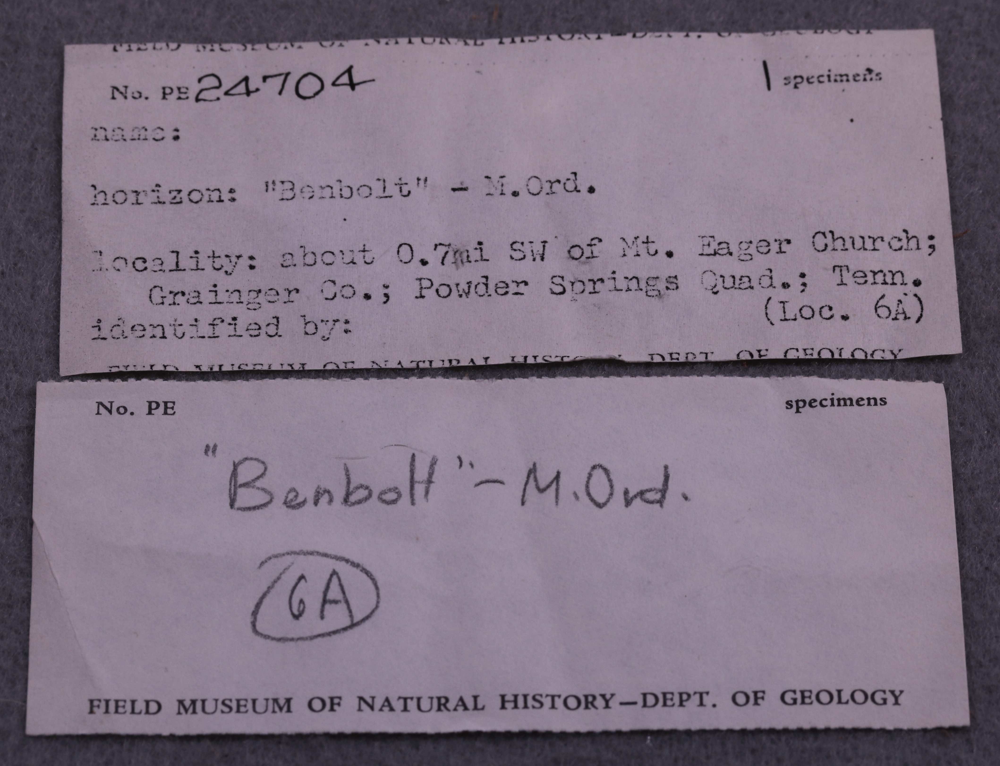 | Geology Collections