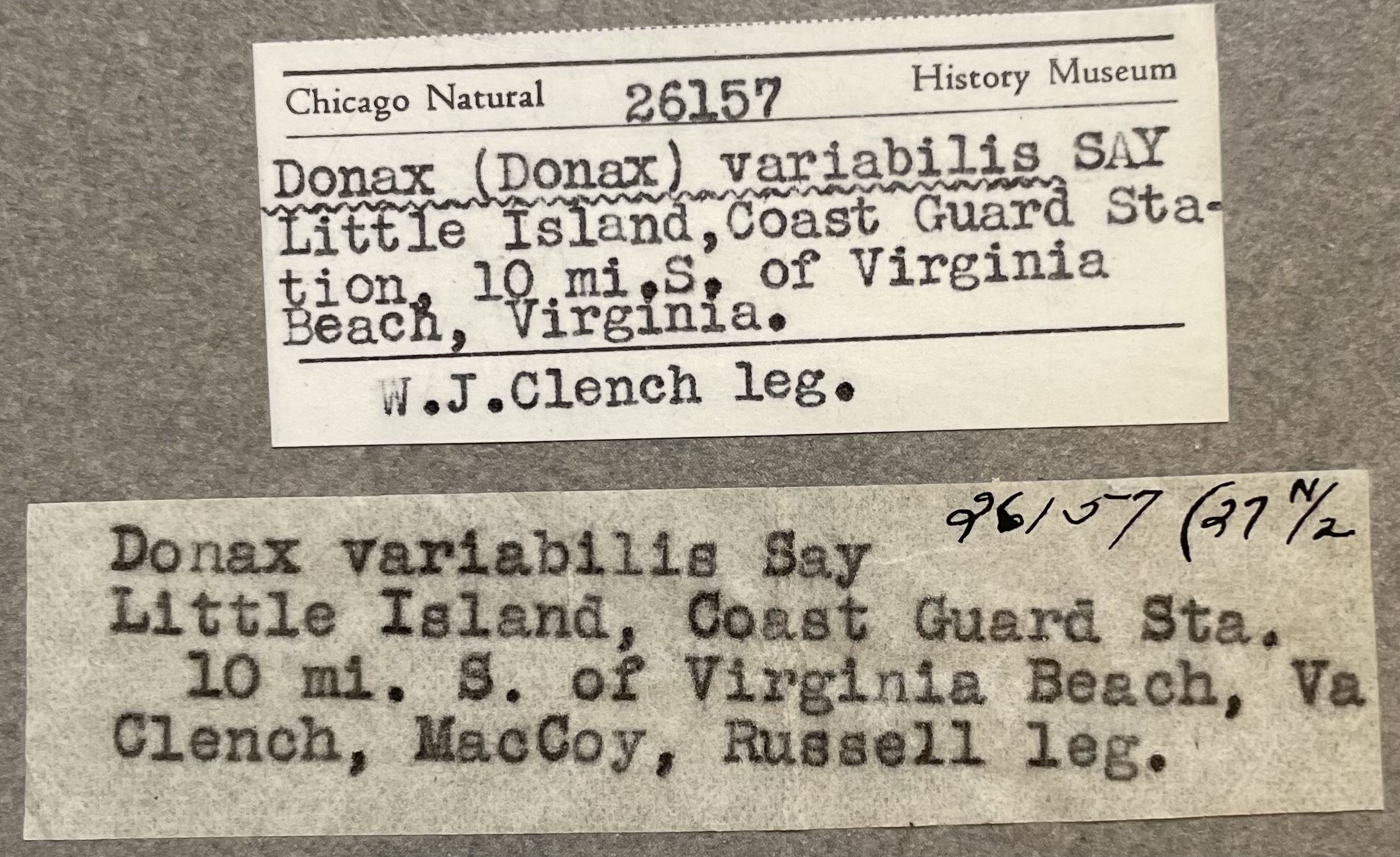 FMNH 26157 | Zoological Collections