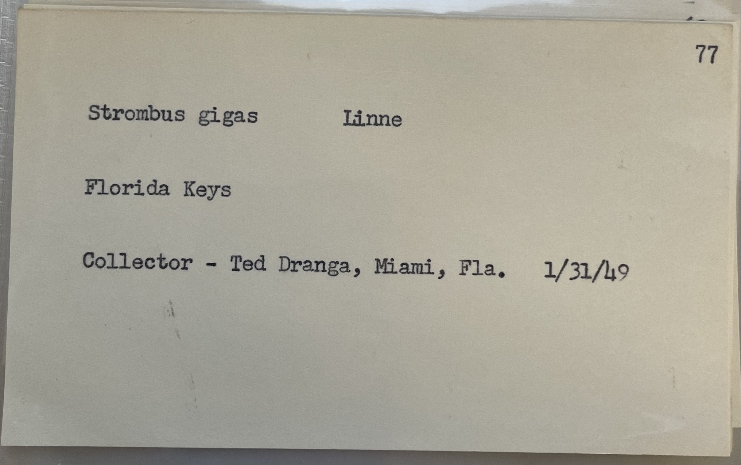 FMNH 165915 | Zoological Collections