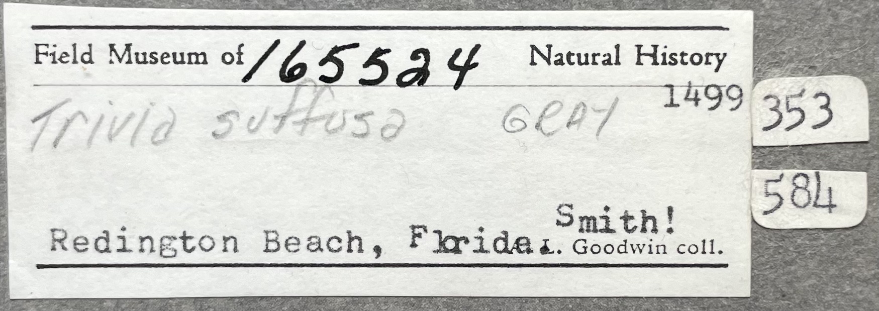 FMNH 165524 | Zoological Collections