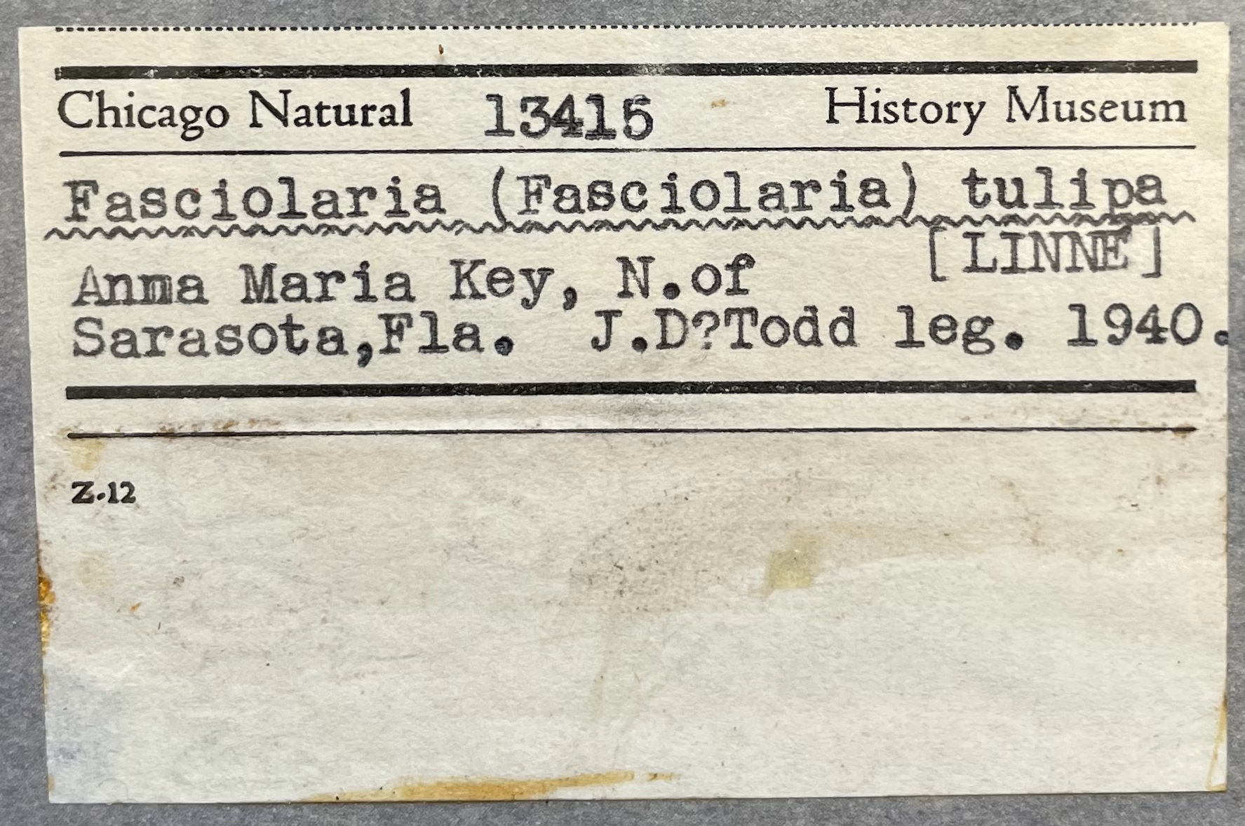 FMNH 13415 | Zoological Collections