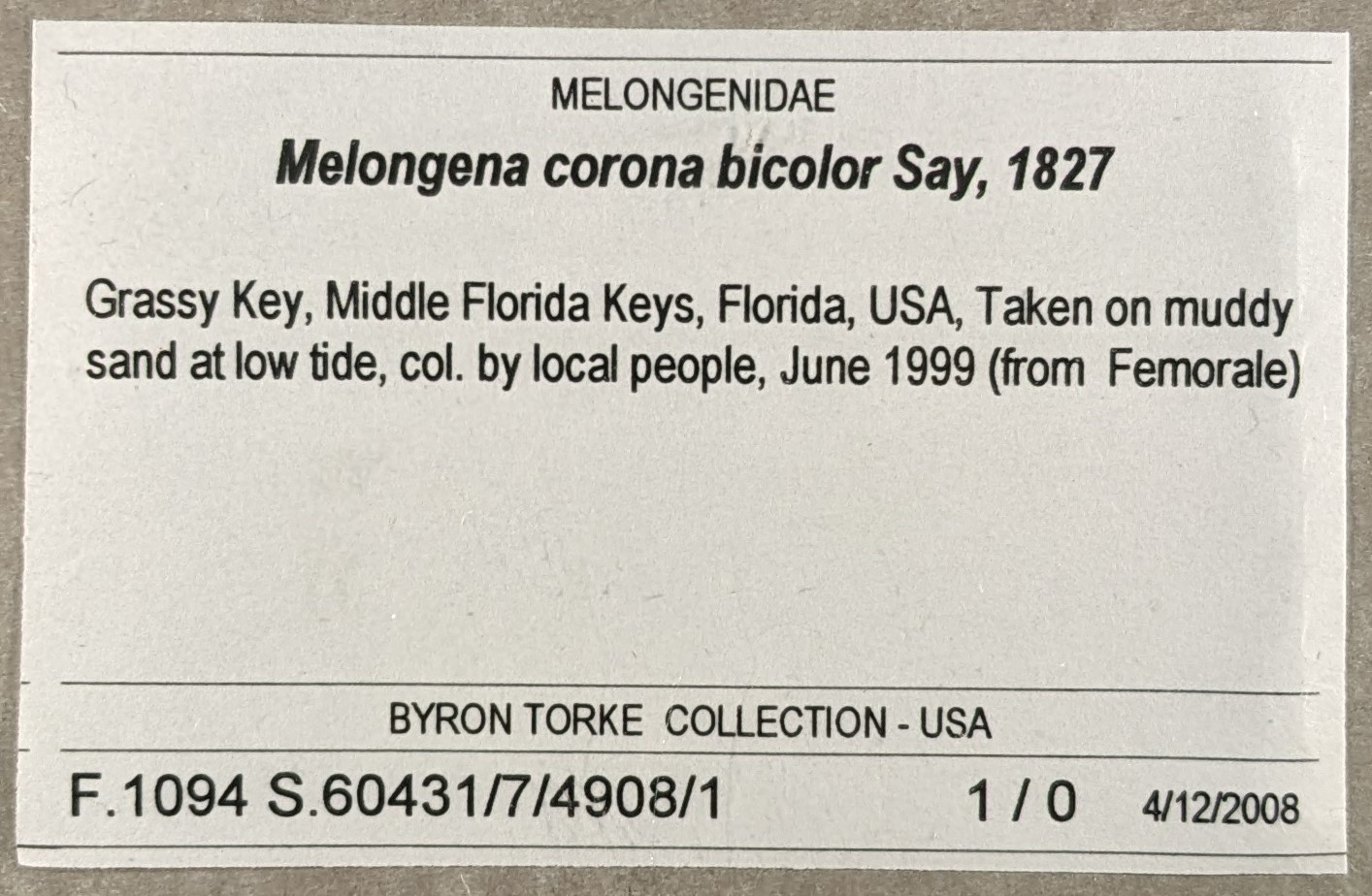 FMNH 396432 | Zoological Collections