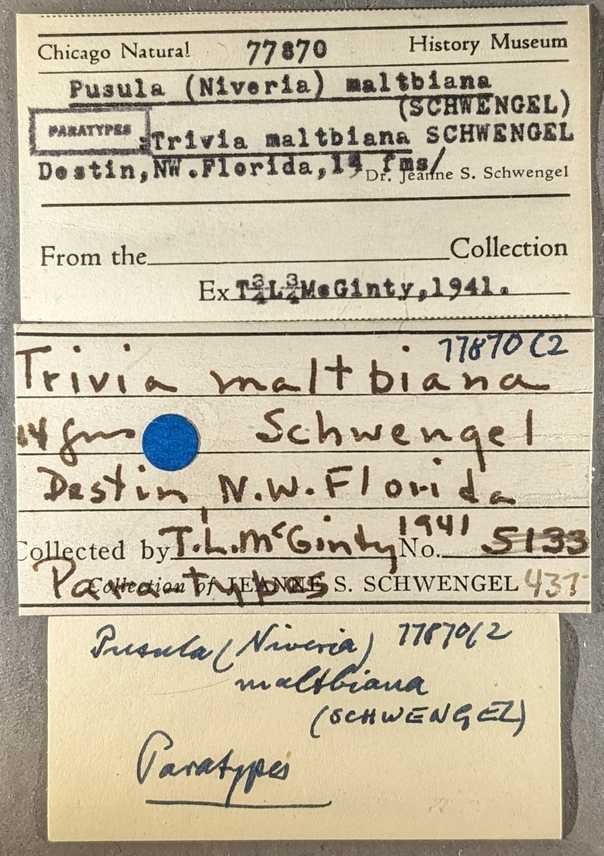 FMNH 77870 | Zoological Collections
