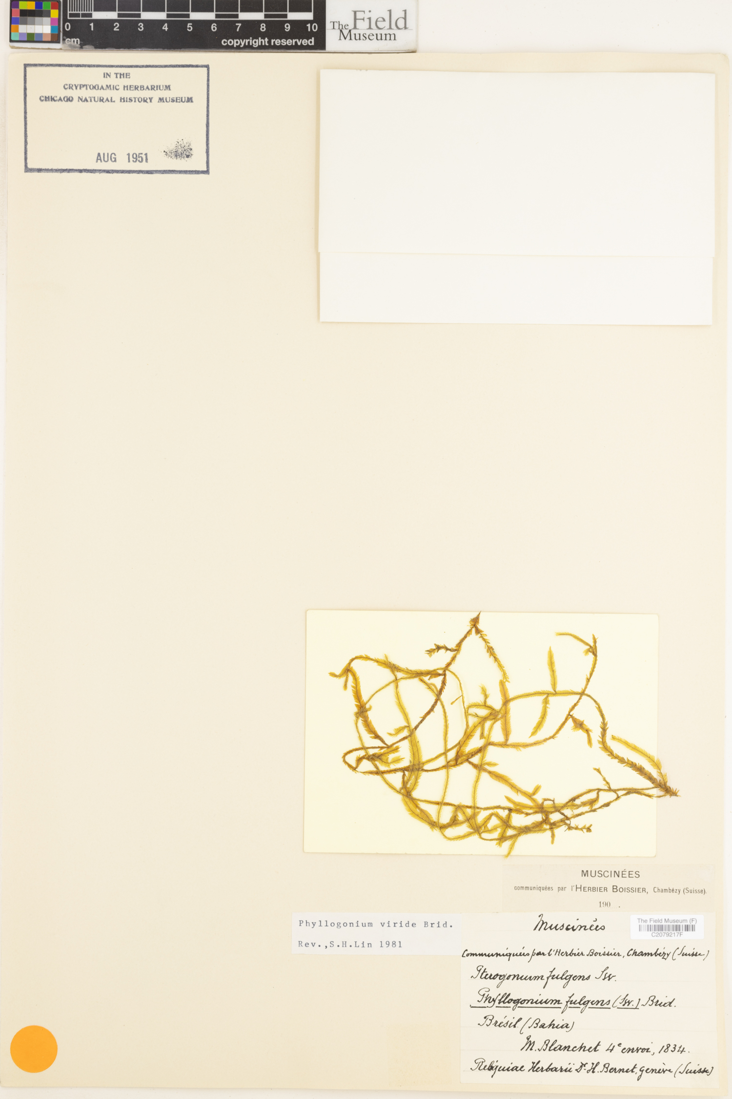 Consortium of Bryophyte Herbaria - Occurrence Profile