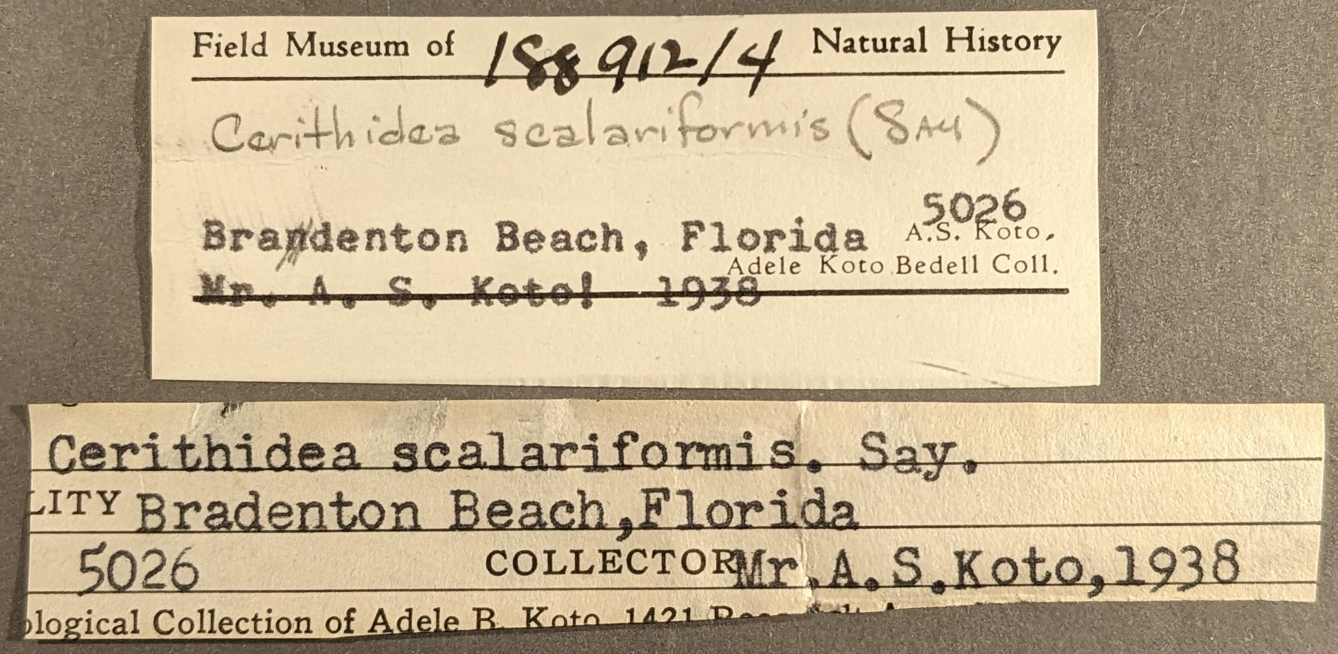 Media | Zoological Collections