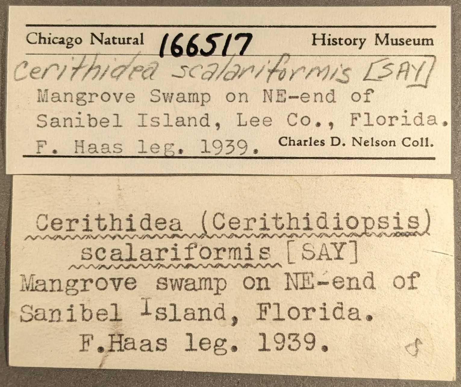 Media | Zoological Collections