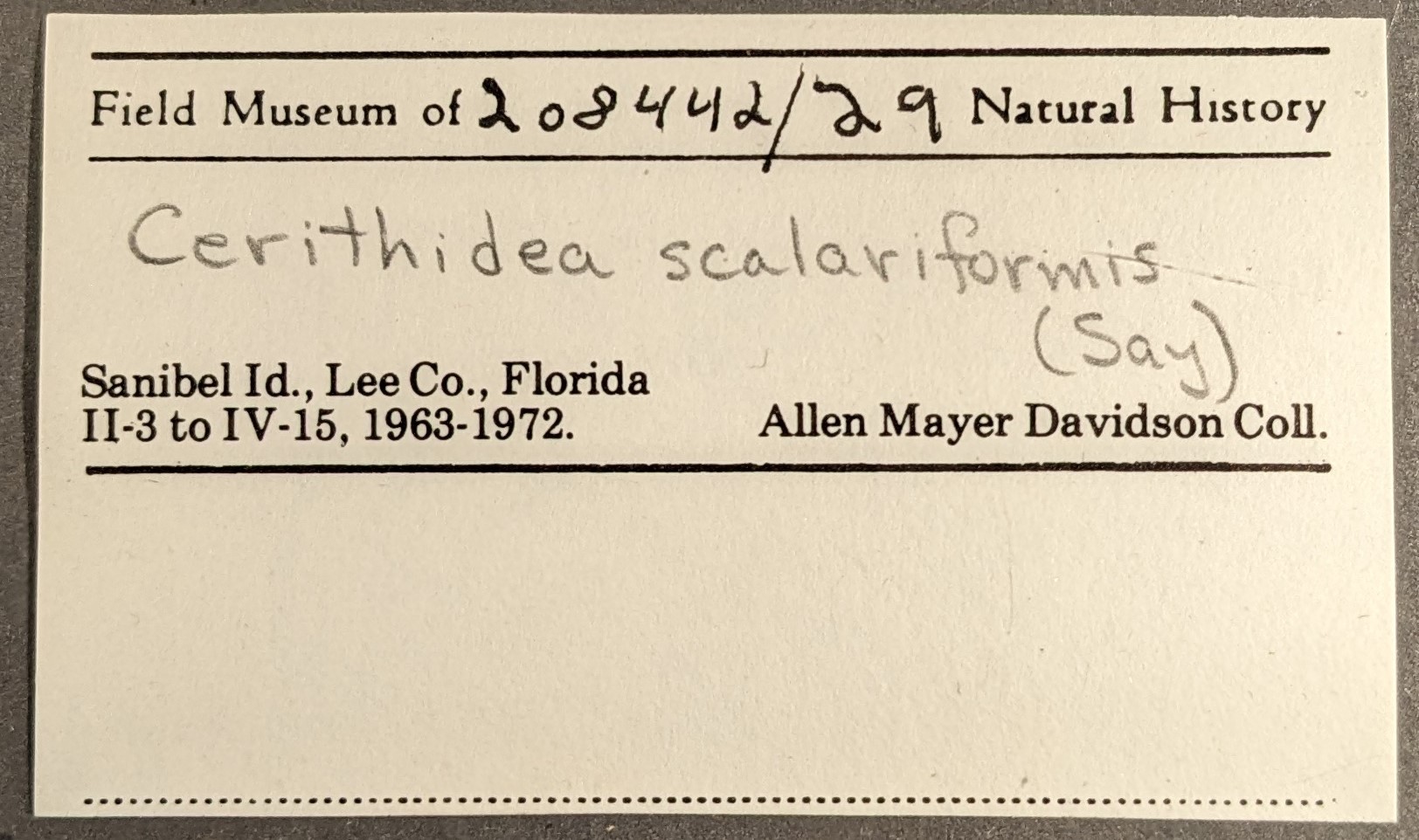 Media | Zoological Collections