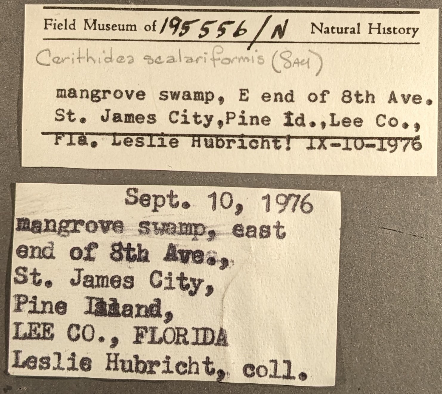 Media | Zoological Collections