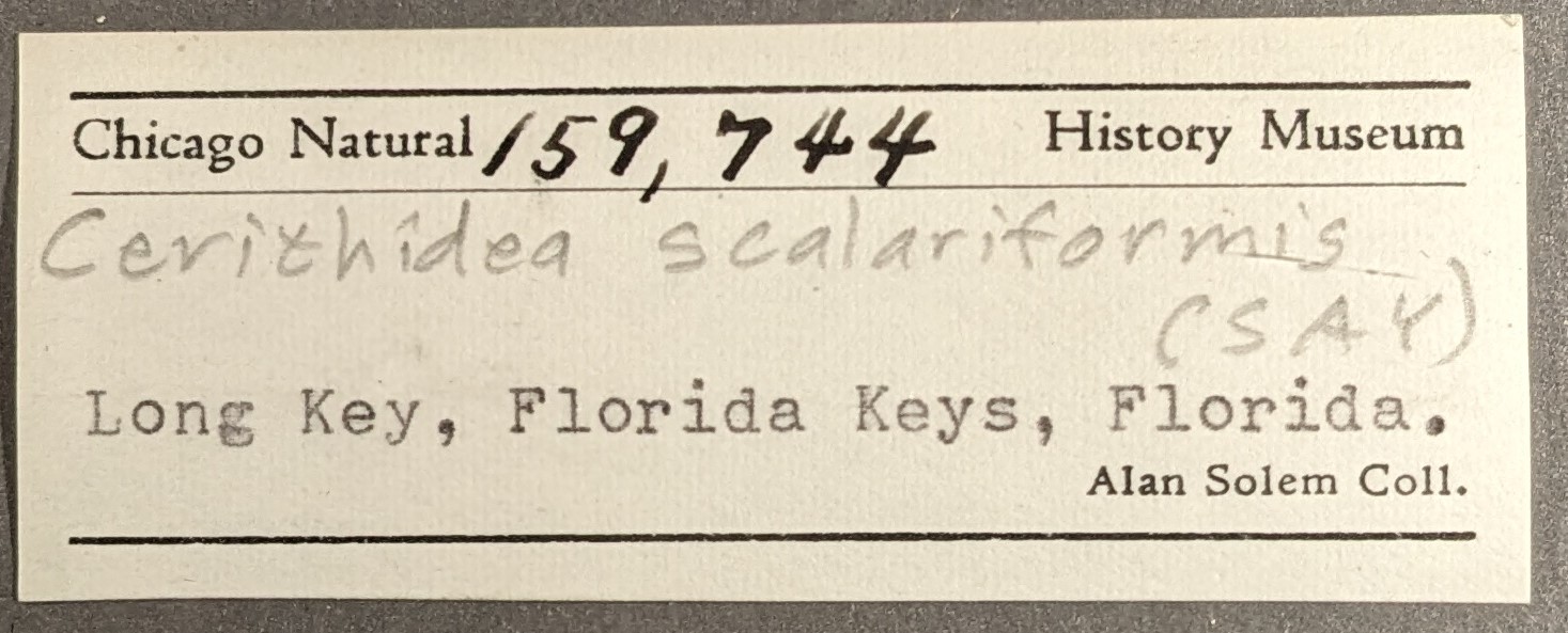 Media | Zoological Collections