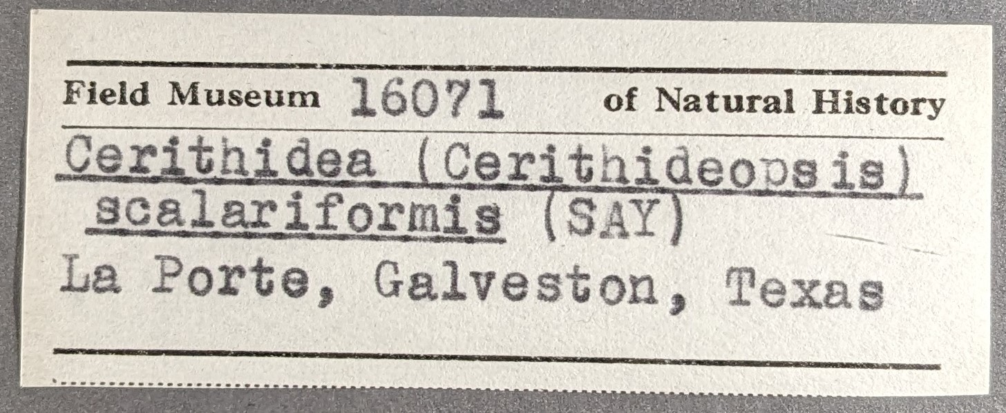 Media | Zoological Collections