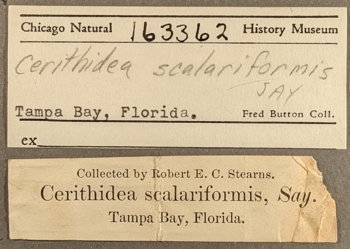 Media | Zoological Collections