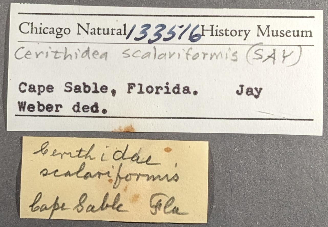 Media | Zoological Collections