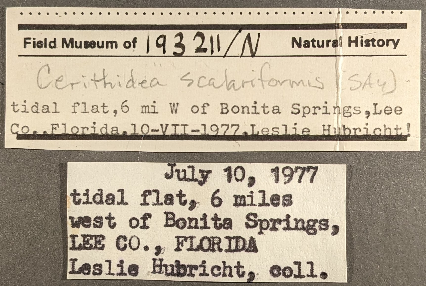 Media | Zoological Collections