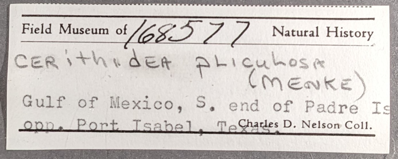 Media | Zoological Collections