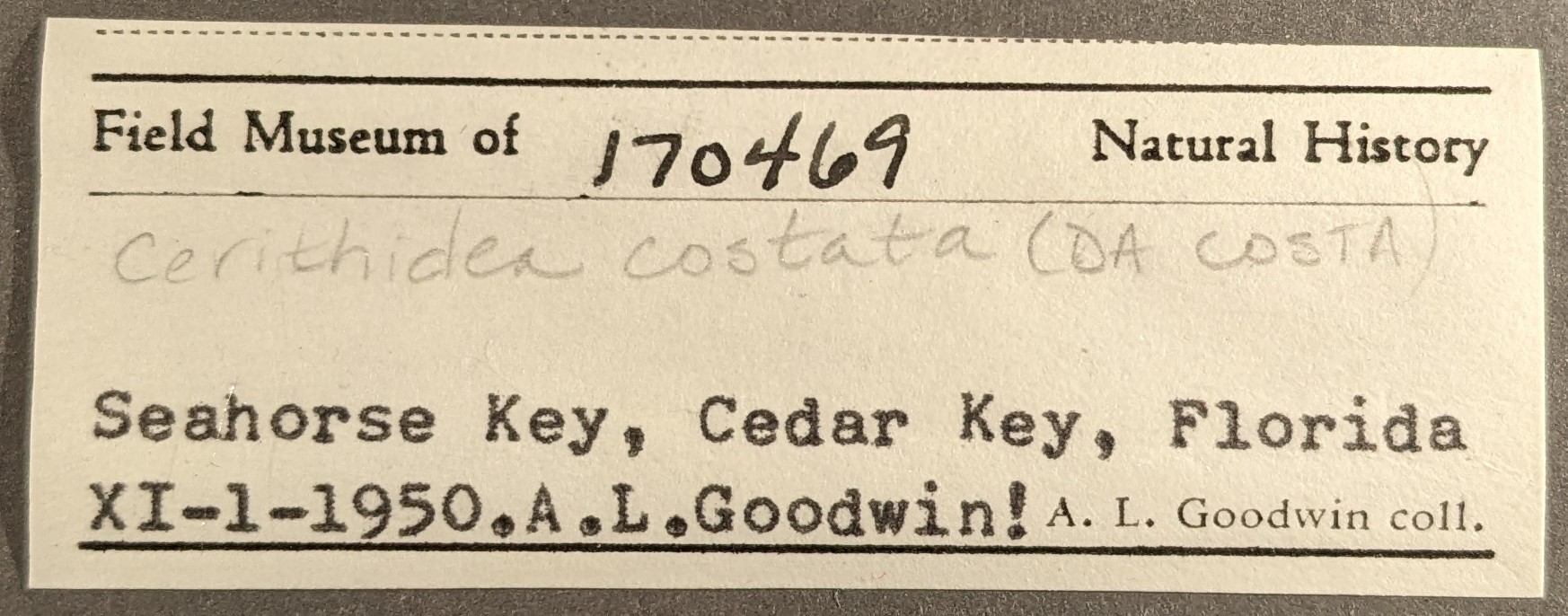 Media | Zoological Collections