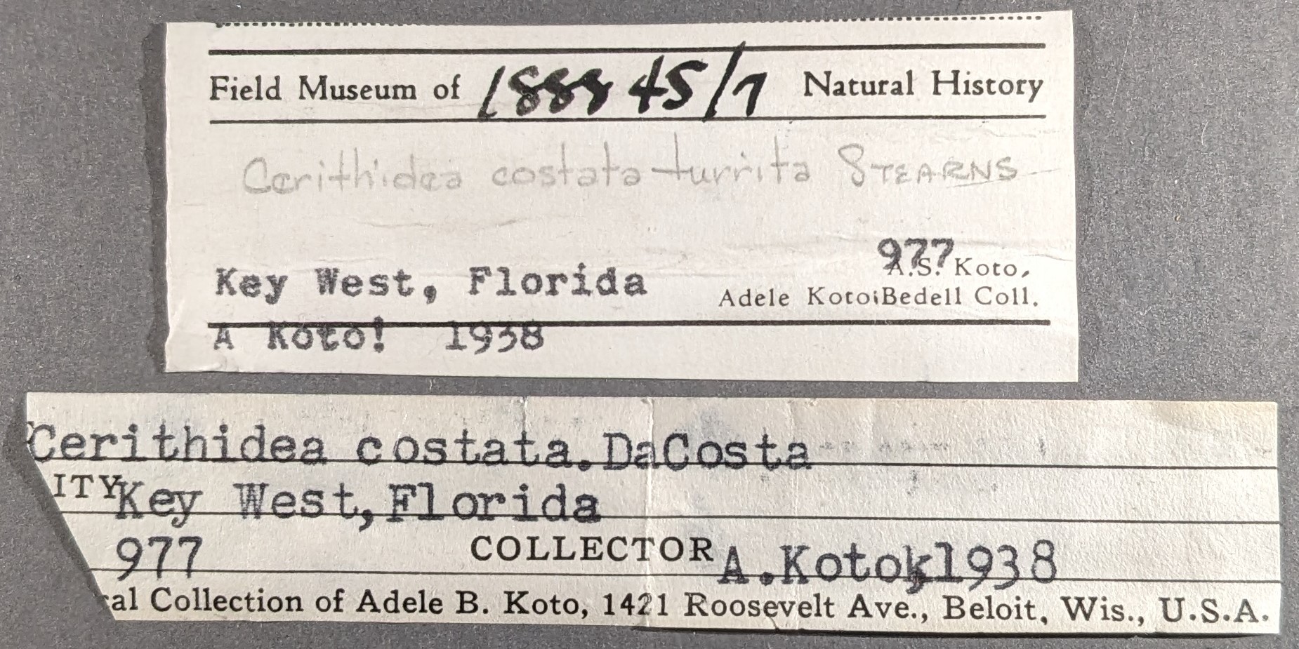 Media | Zoological Collections