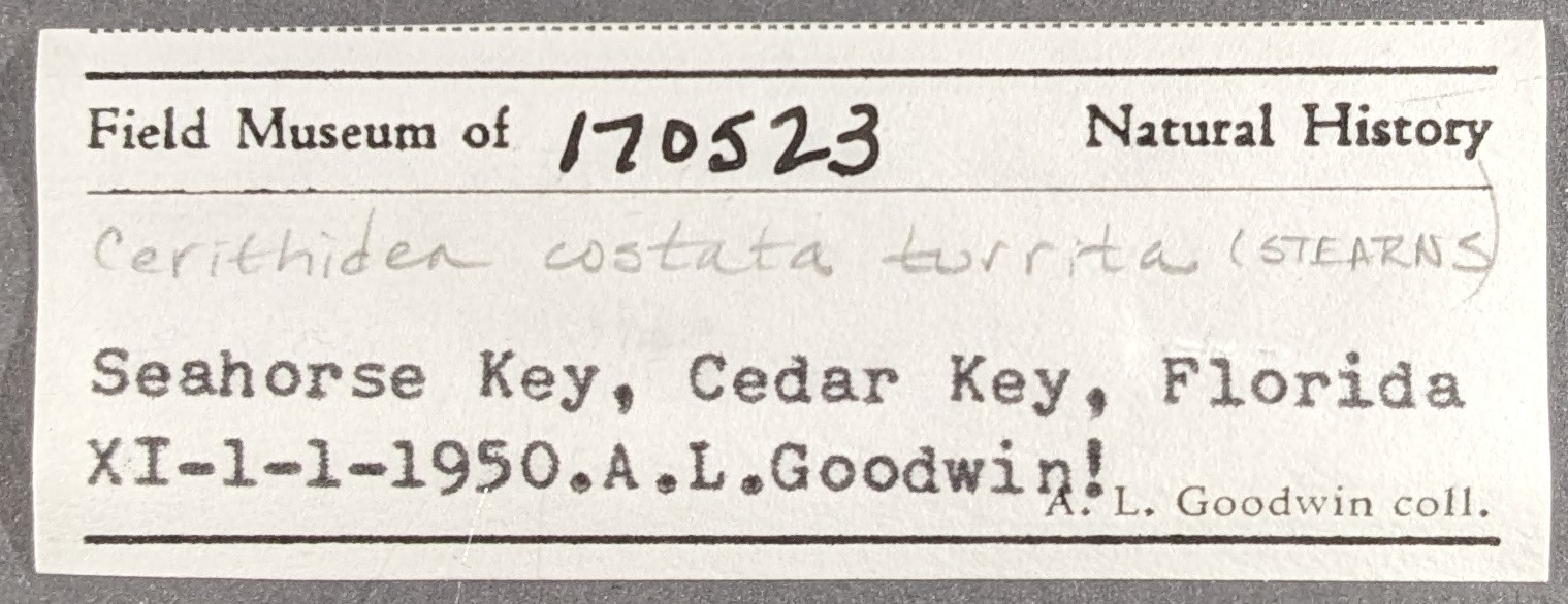 Media | Zoological Collections