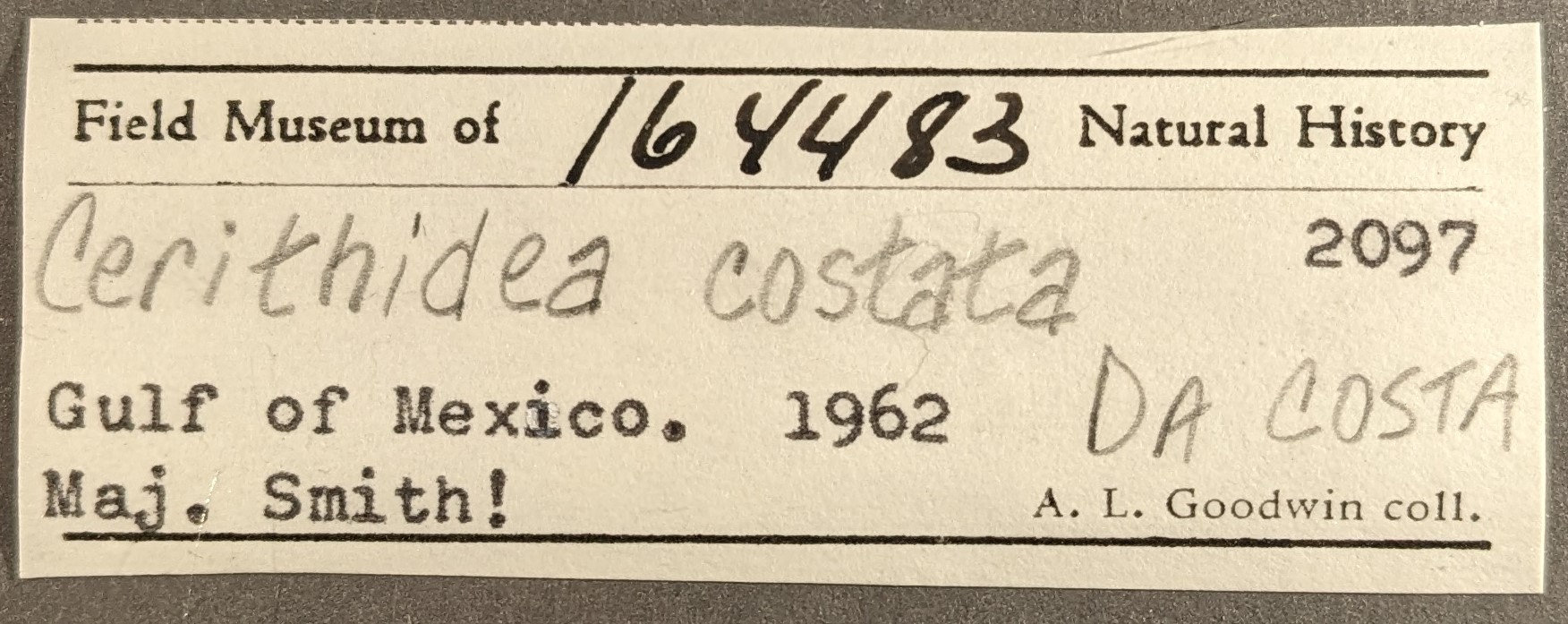 Media | Zoological Collections