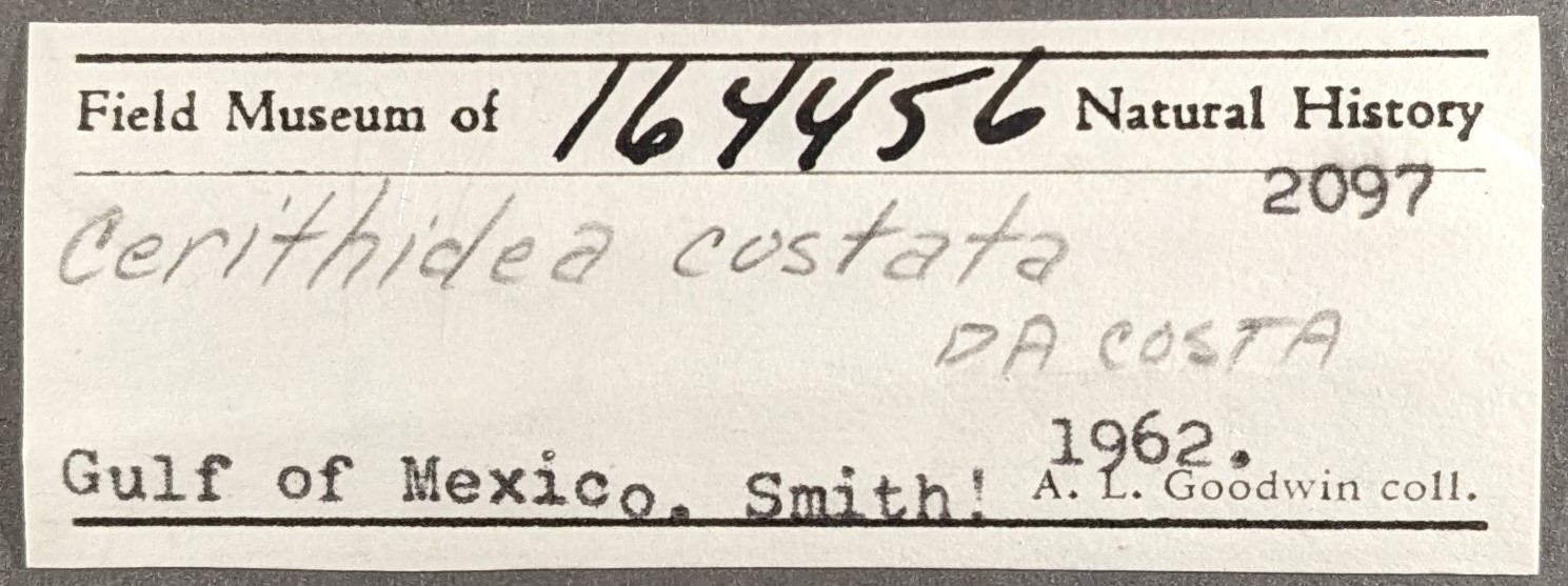 Media | Zoological Collections