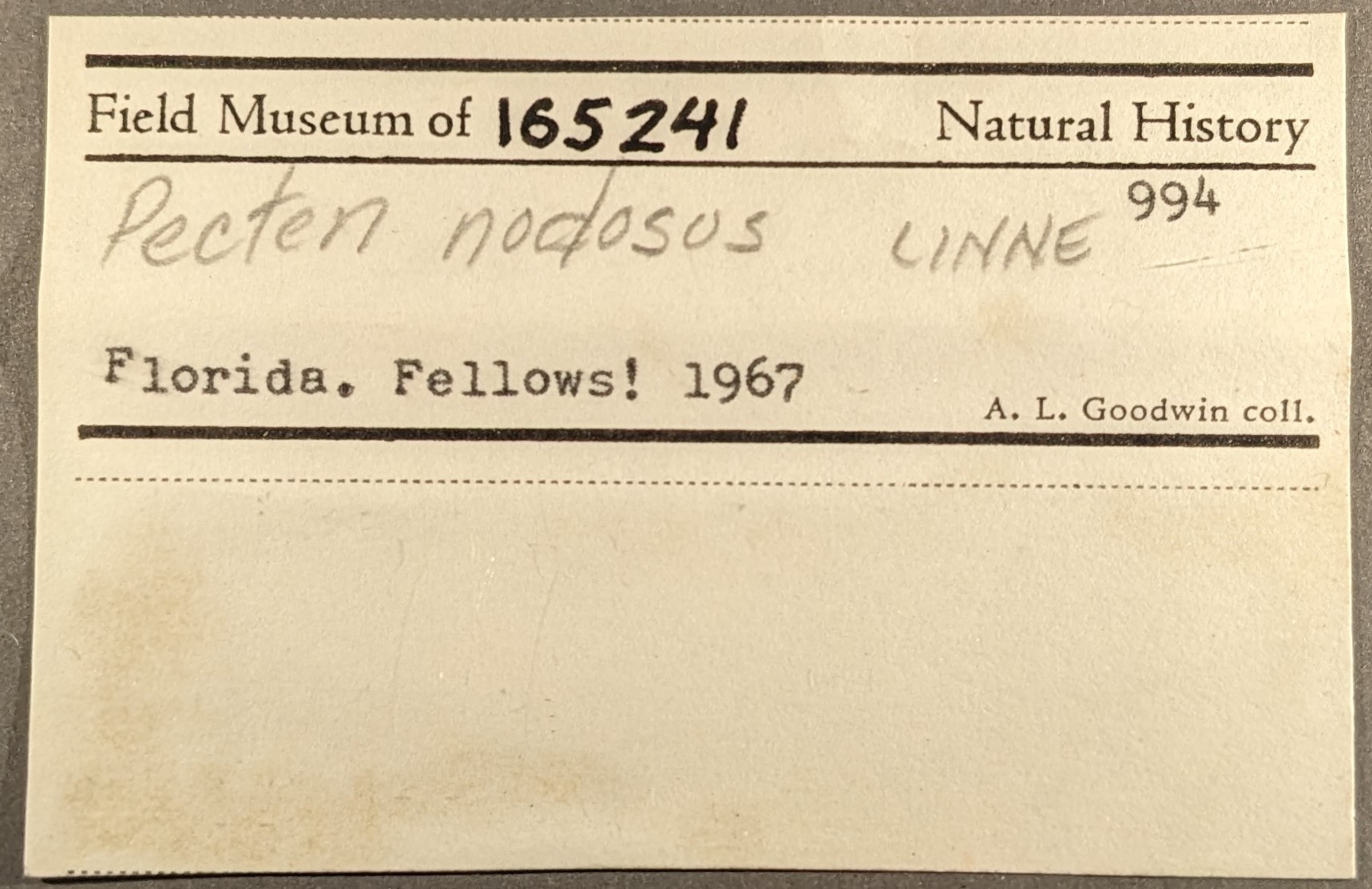 FMNH 165241 | Zoological Collections