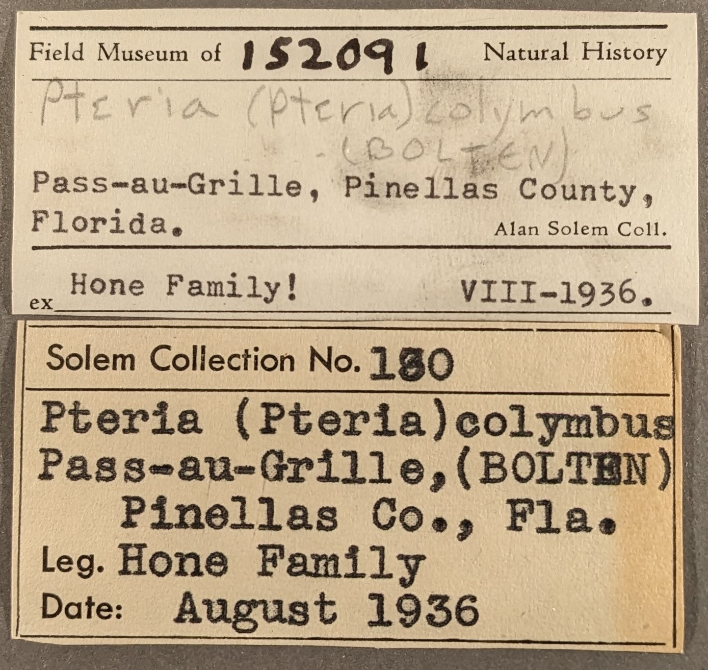 FMNH 152091 | Zoological Collections