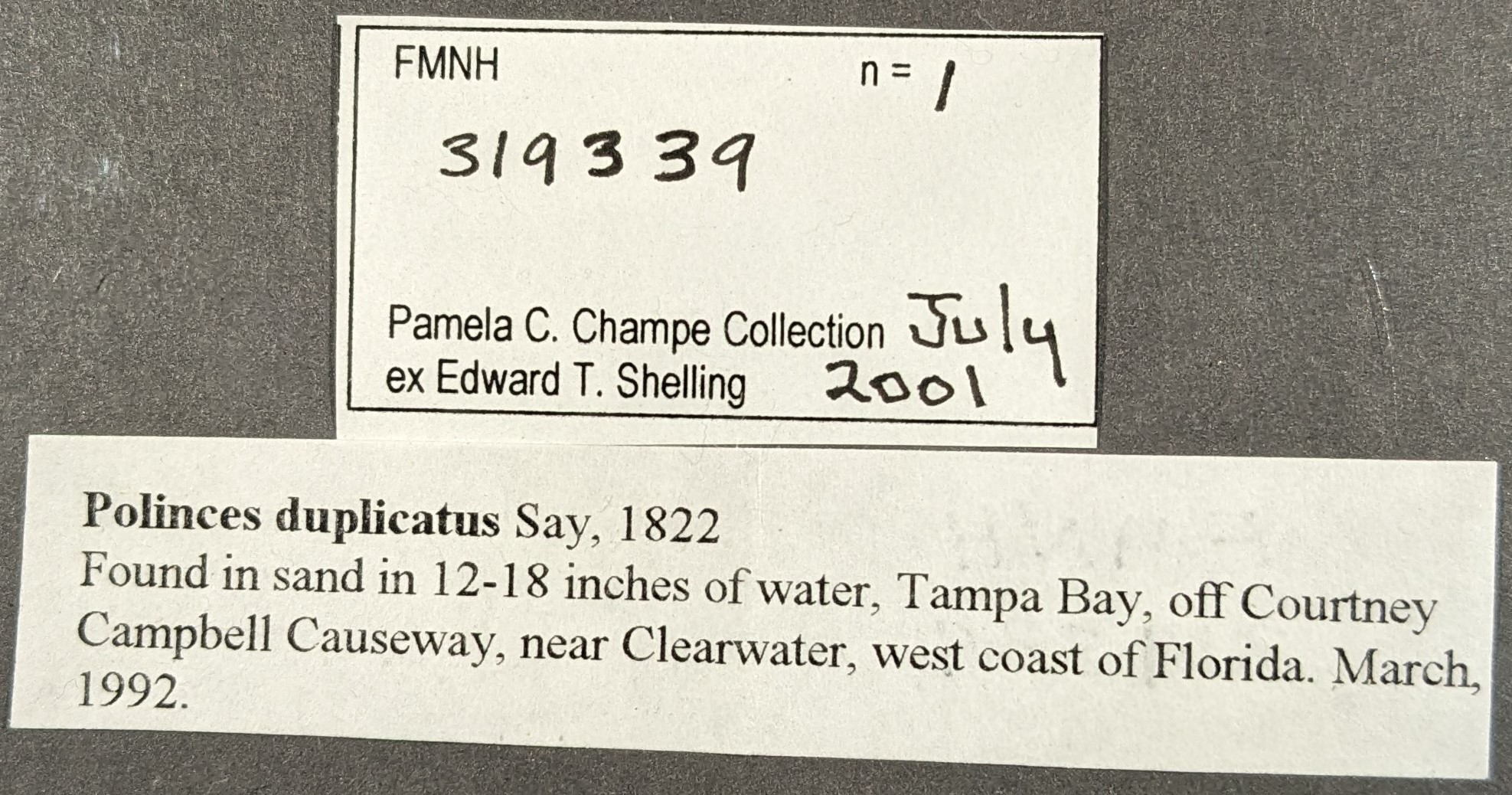 FMNH 319339 | Zoological Collections
