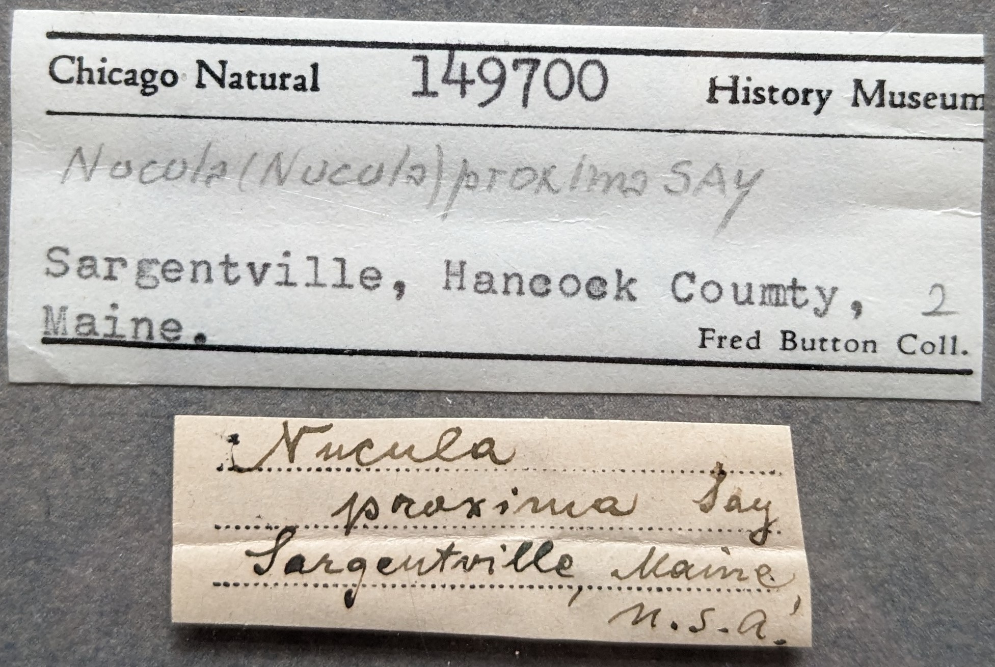 FMNH 149700 | Zoological Collections